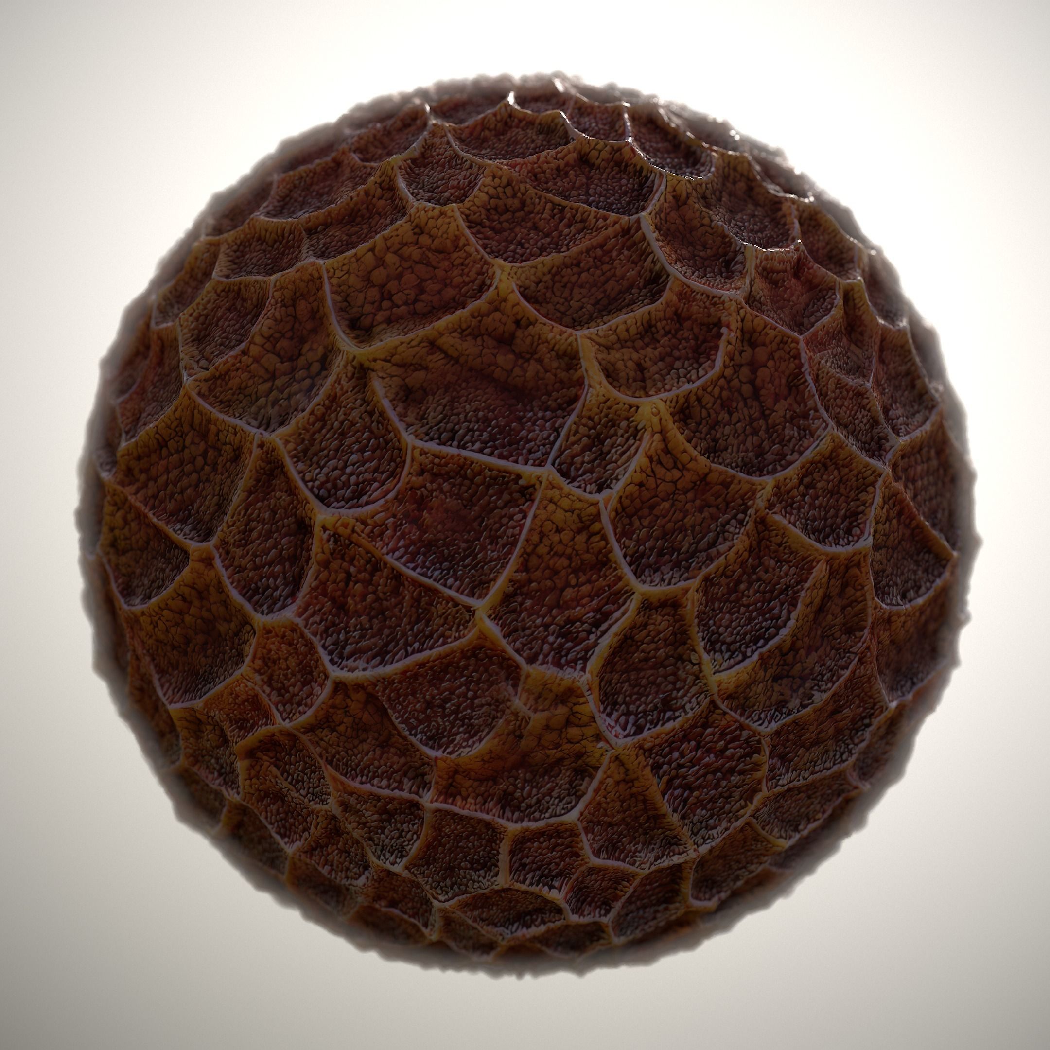 Material Skin Alien 11 Seamless PBR Texture Texture | CGTrader