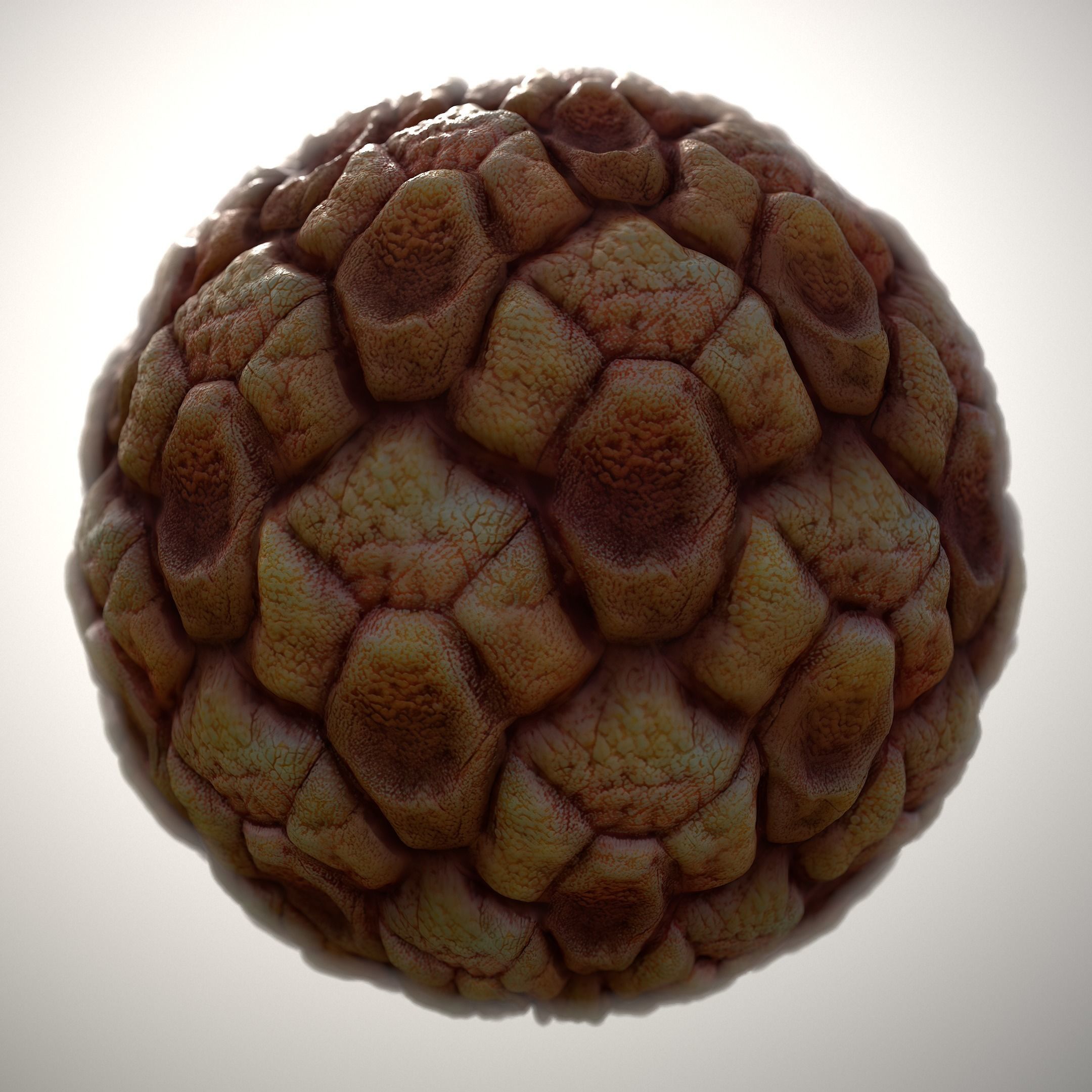 Material Skin Alien 1 Seamless PBR Texture Texture | CGTrader
