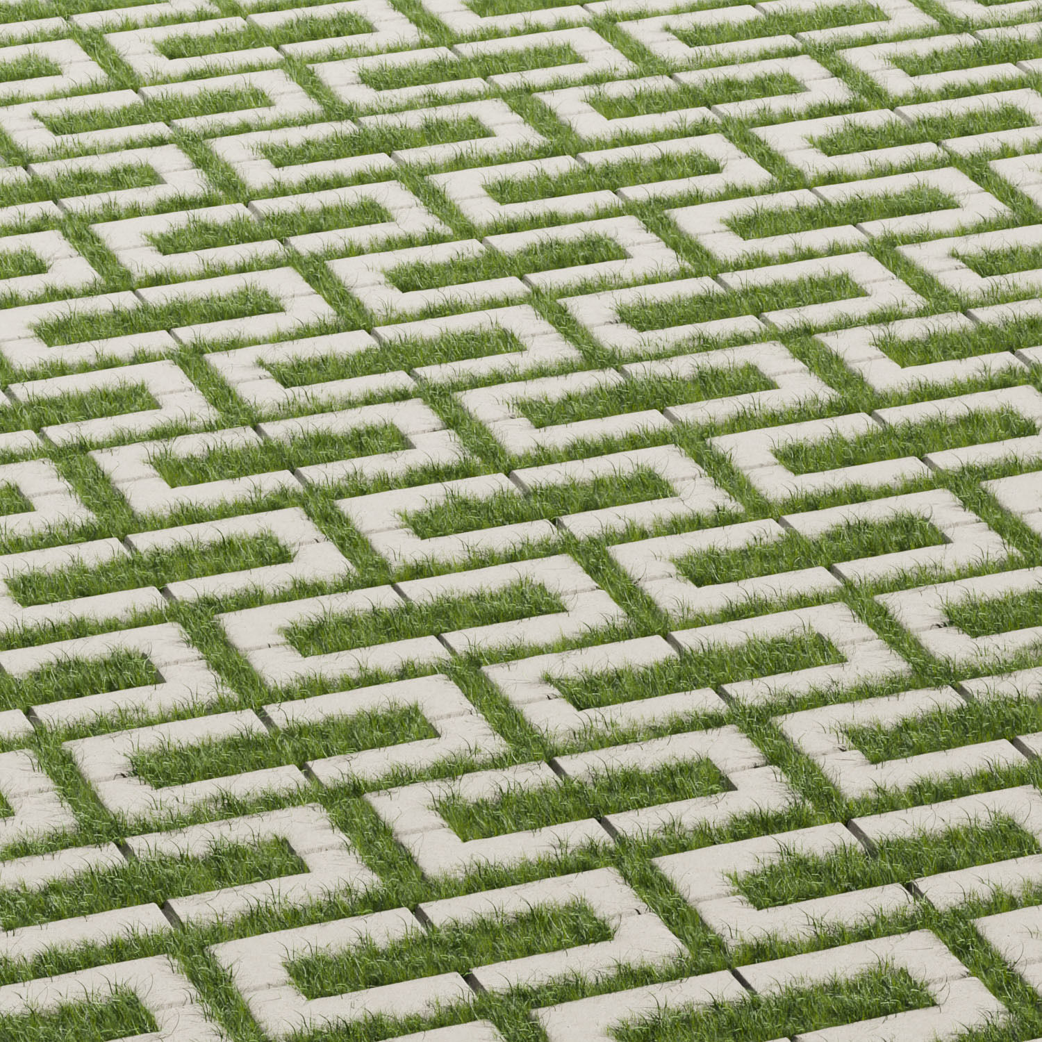 Collection plant vol 397 - grass - concrete - tileable 3D model | CGTrader
