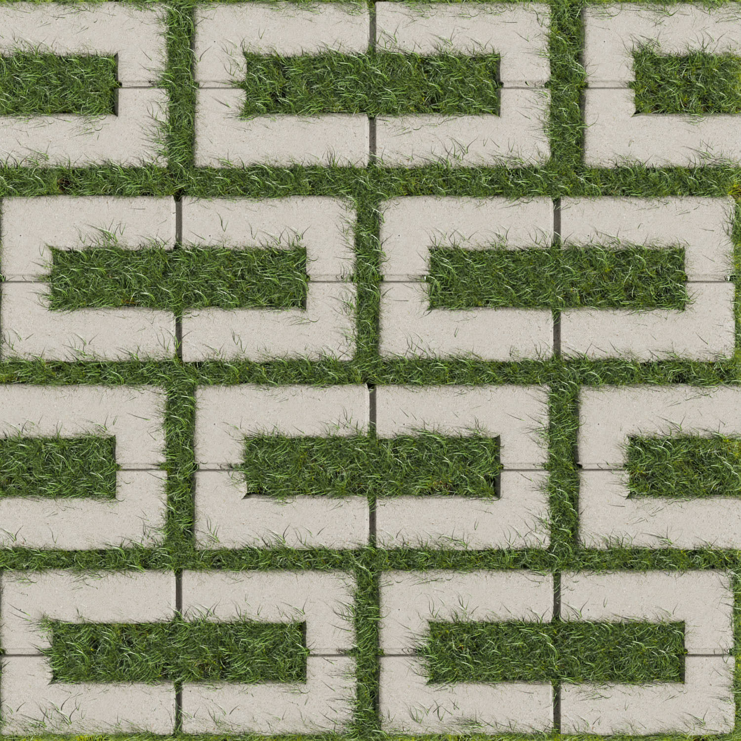 Collection plant vol 397 - grass - concrete - tileable 3D model | CGTrader