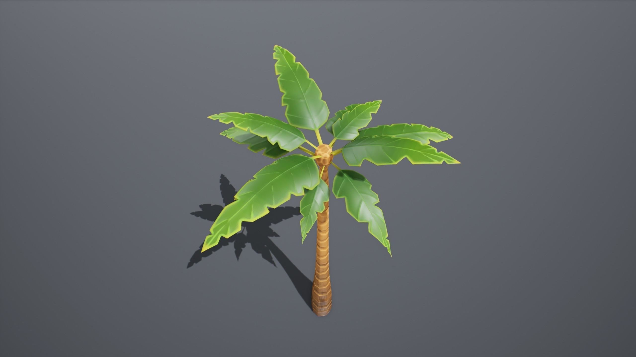 3D model Stylized Palm Tree 02 VR / AR / low-poly | CGTrader