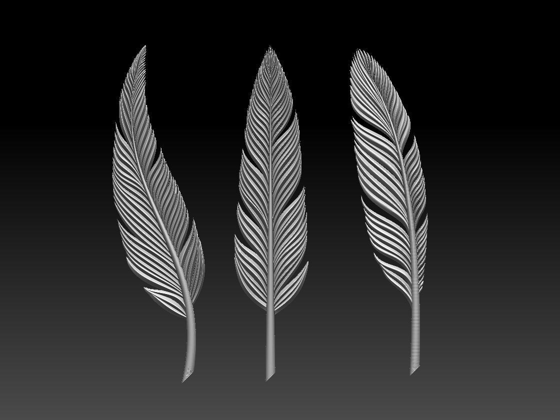 Feather Set three silver feathers 3D model 3D printable | CGTrader