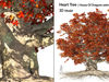 House of Dragons Winterfell Tree 3D model | CGTrader