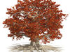 House of Dragons Winterfell Tree 3D model | CGTrader