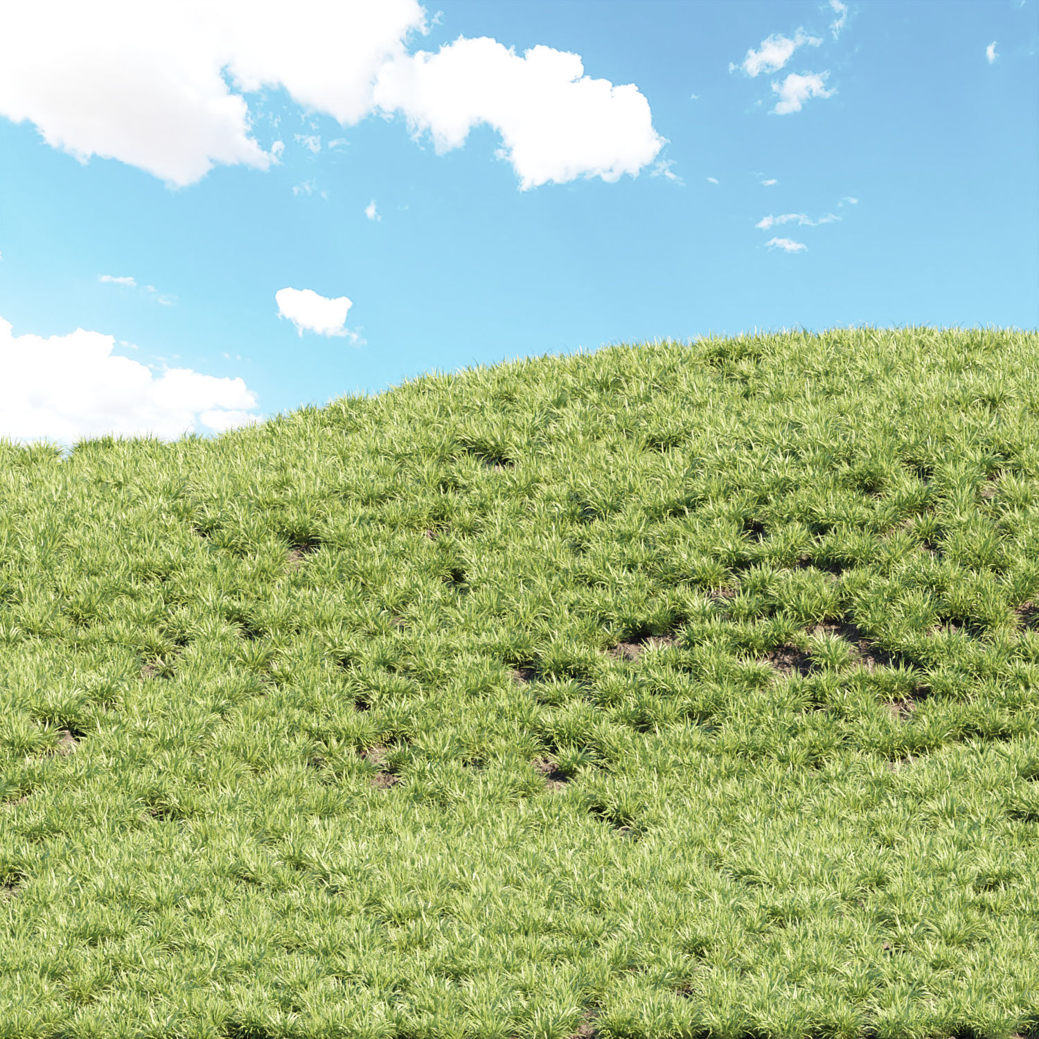 Grass Clumps vol 152 3D model | CGTrader