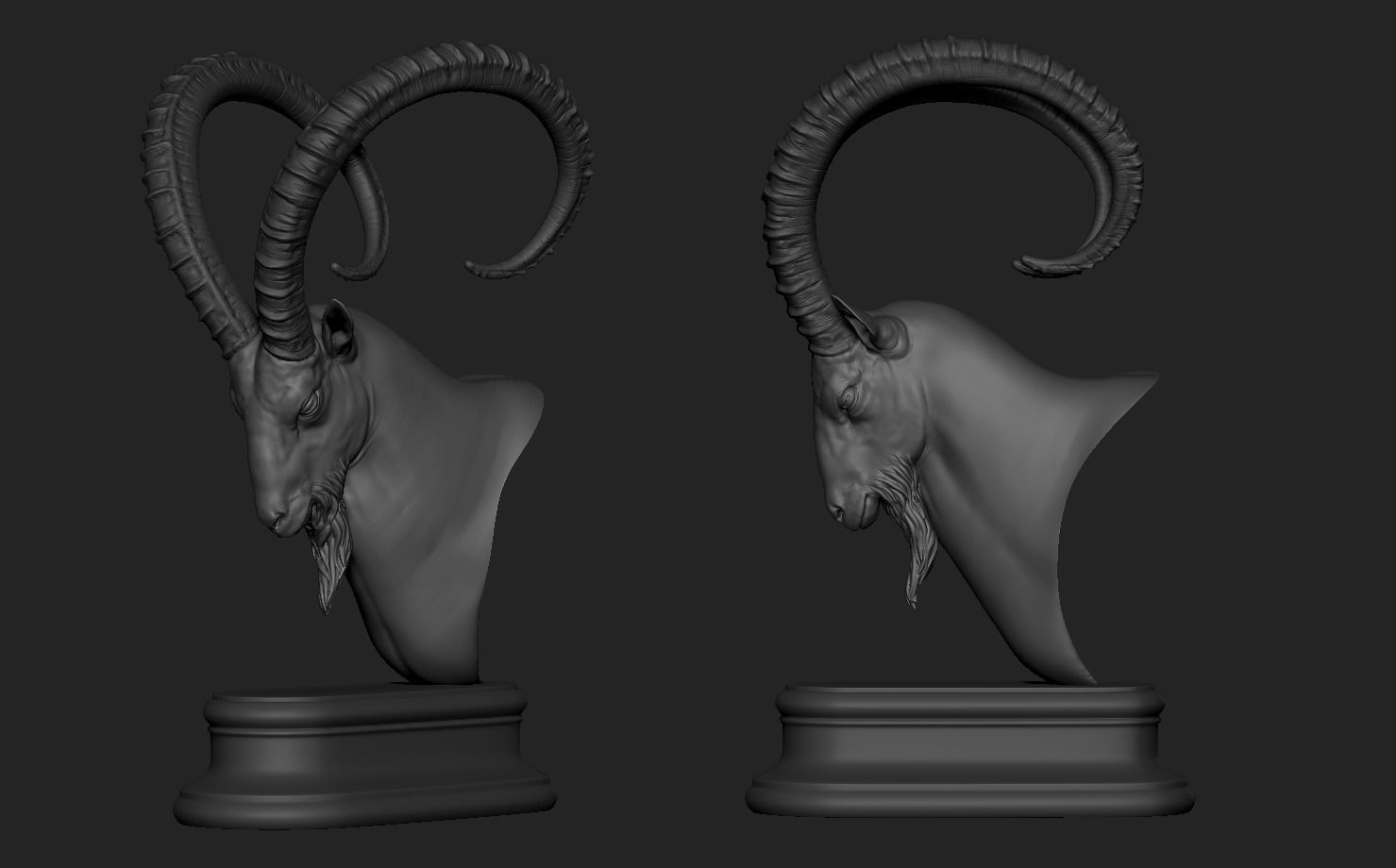Ibex Head 3D model 3D printable | CGTrader