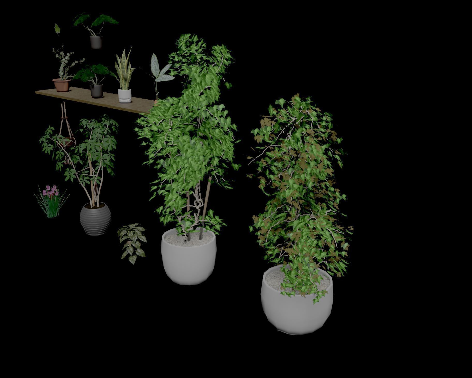 Indoor Plant Asset Pack 3D model | CGTrader