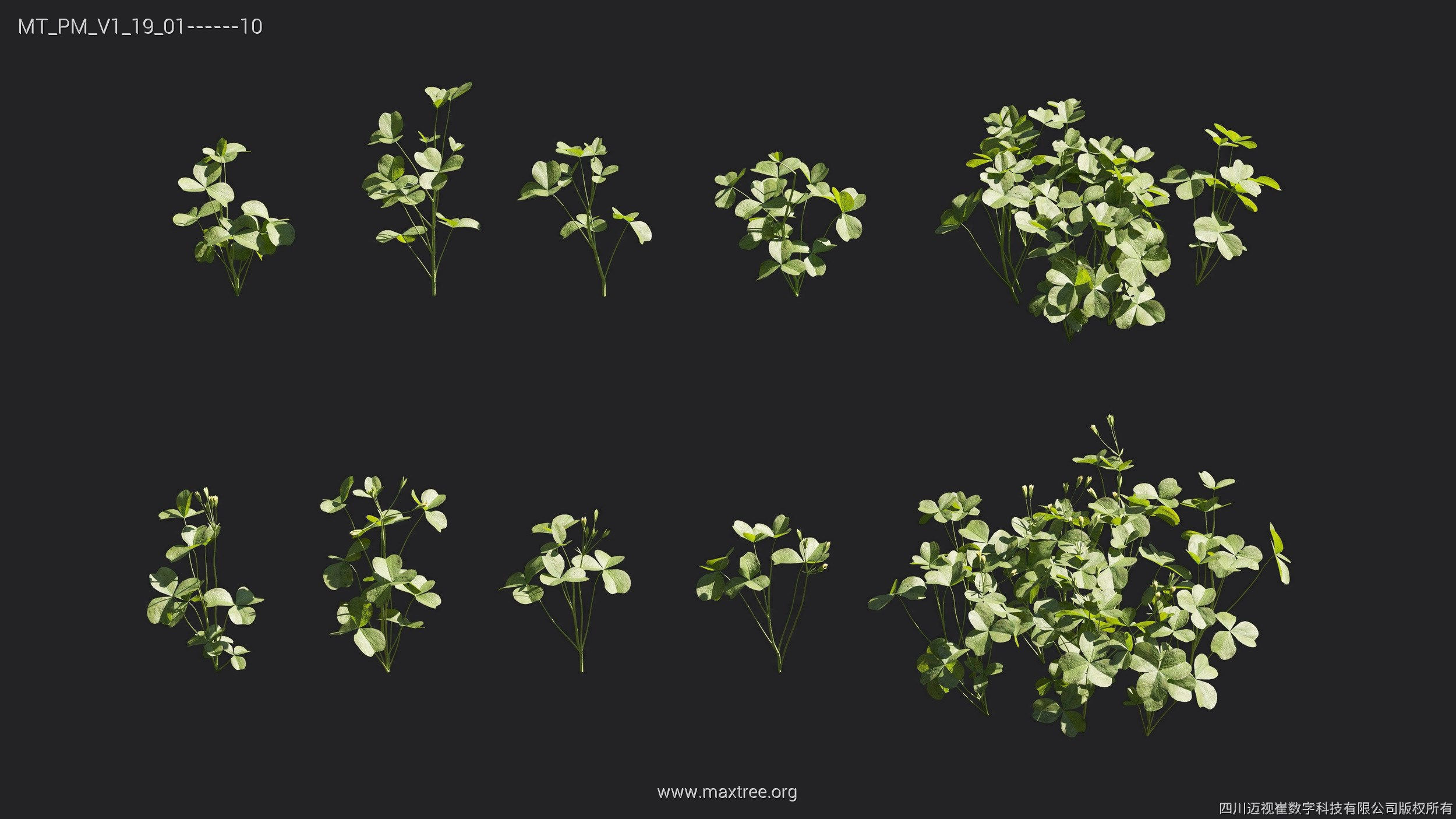 Maxtree Plant Models Vol 1 - Mesh 3D model | CGTrader