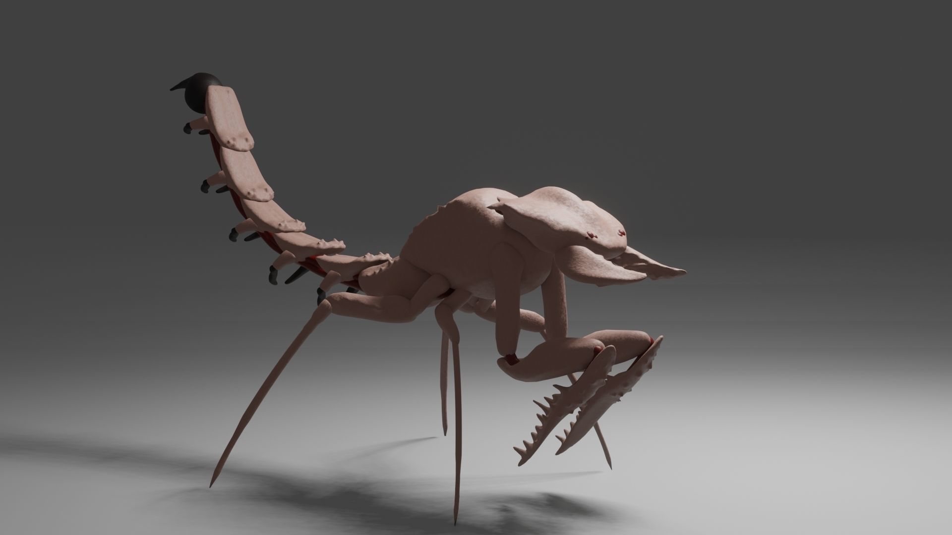 Alien Bug 3D model rigged | CGTrader