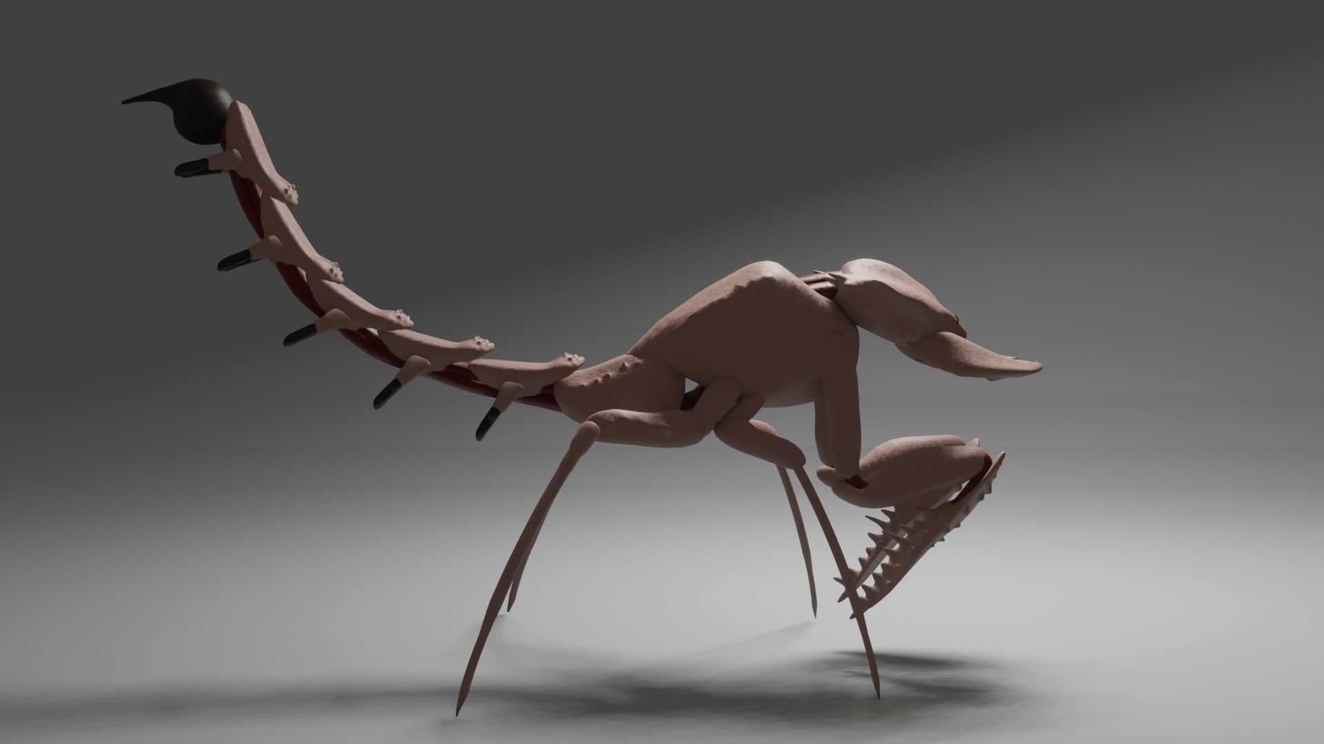 Alien Bug 3D model rigged | CGTrader