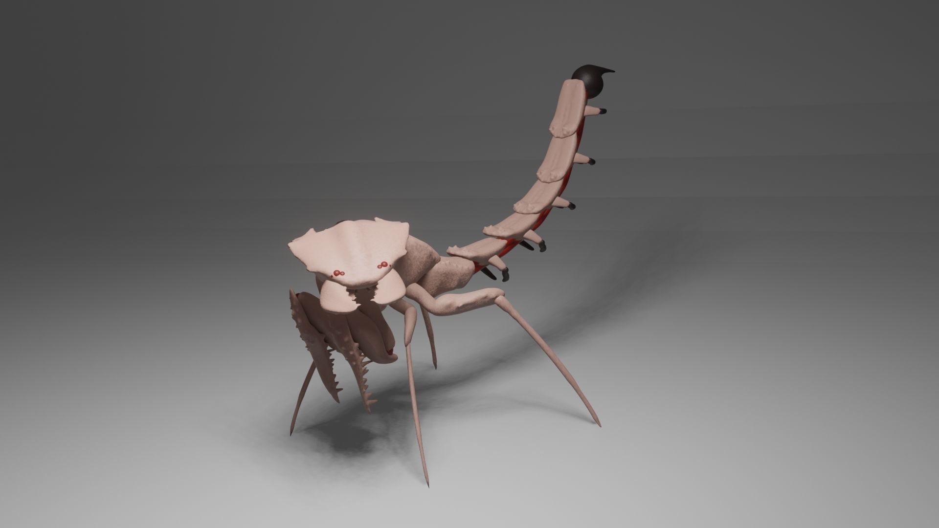Alien Bug 3D model rigged | CGTrader