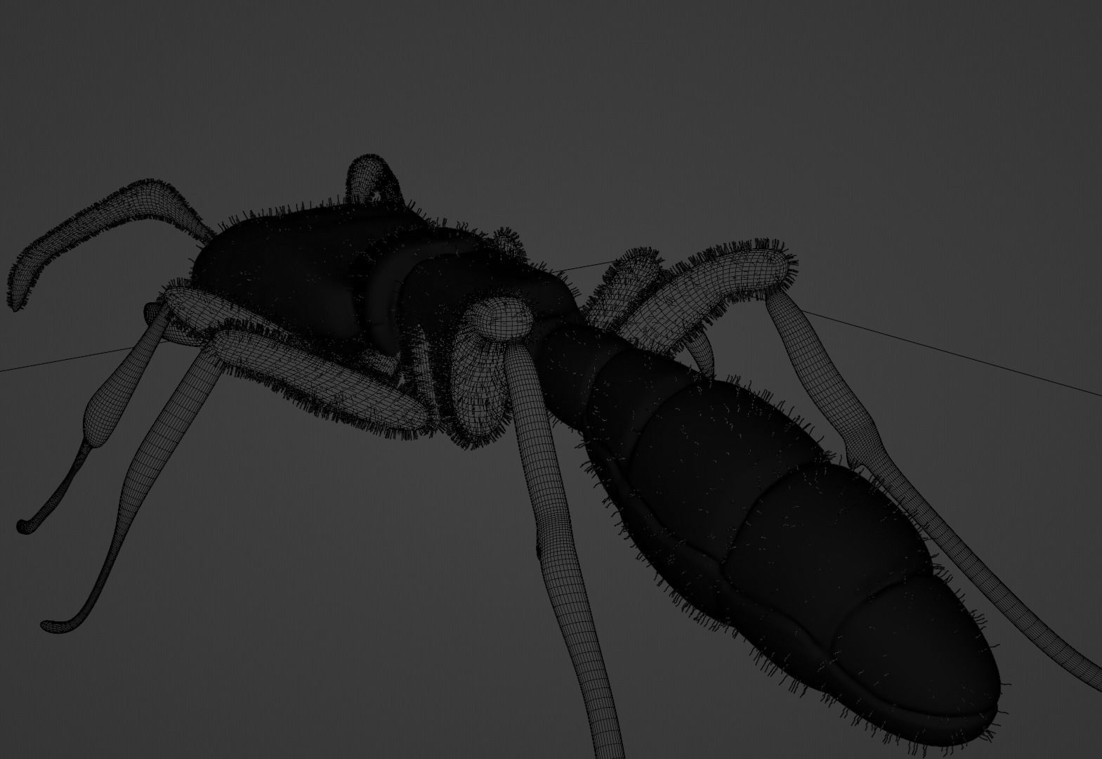 3D model Sculpted ant 3D model with hair VR / AR / low-poly | CGTrader