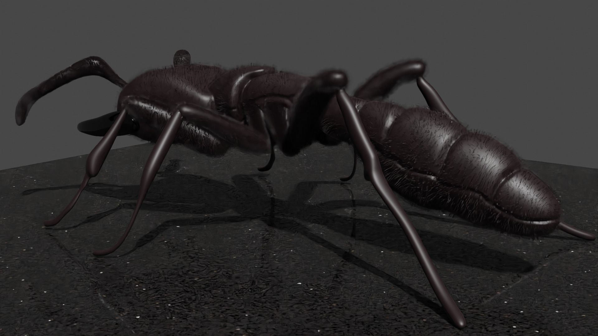 3D model Sculpted ant 3D model with hair VR / AR / low-poly | CGTrader