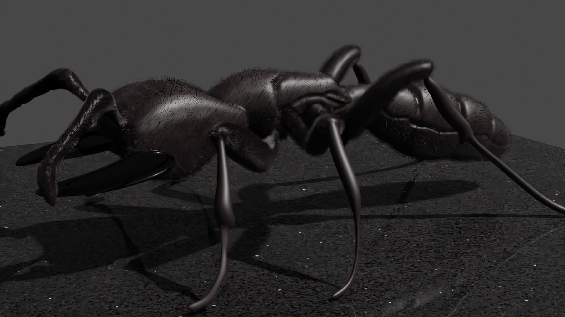 3D model Sculpted ant 3D model with hair VR / AR / low-poly | CGTrader