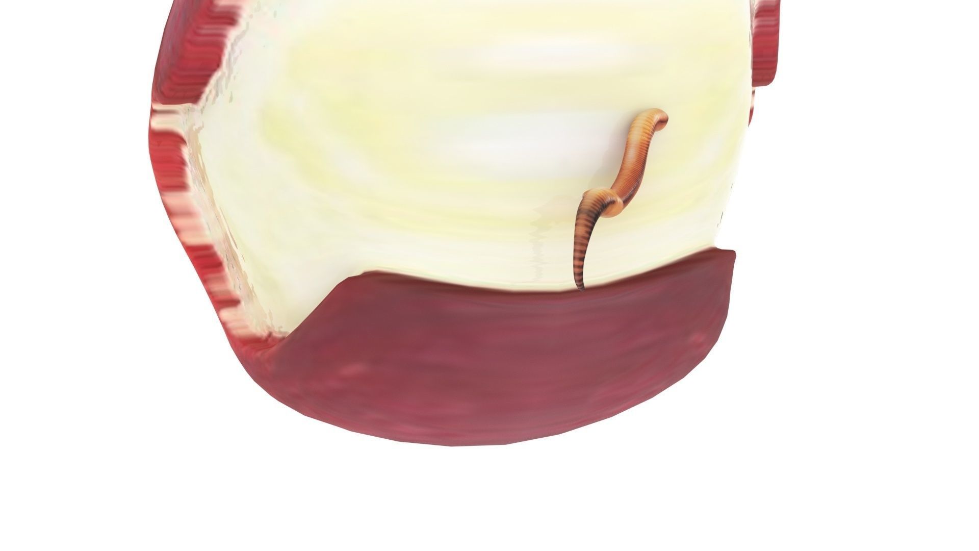 Worm In Apple 3D model | CGTrader