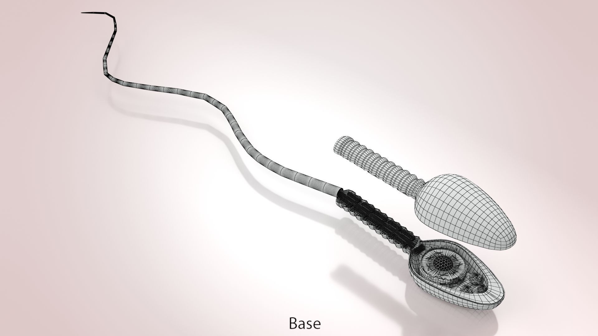 3D model Animated Sperm Cell or Spermatozoa VR / AR / low-poly | CGTrader