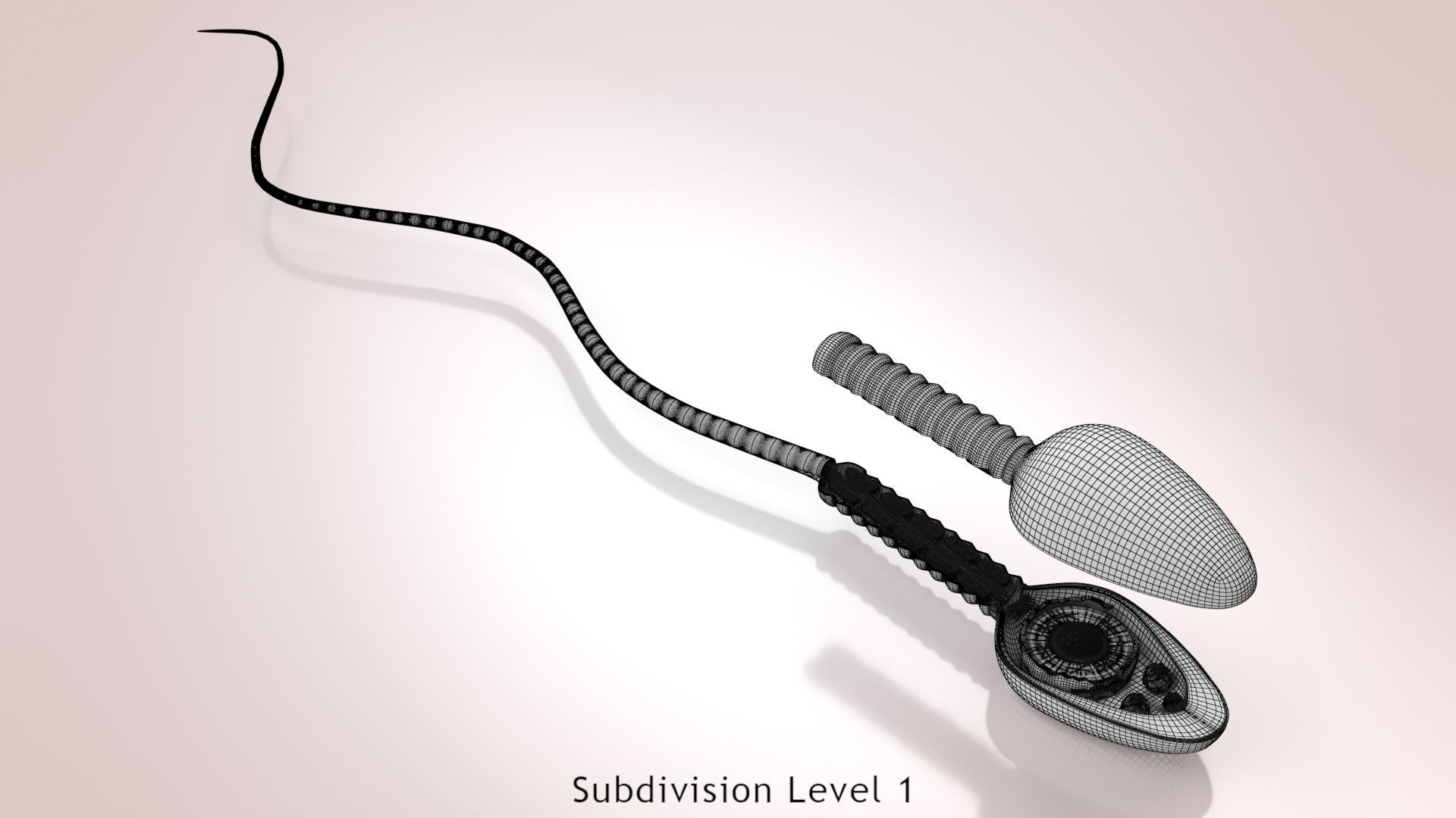 3D model Animated Sperm Cell or Spermatozoa VR / AR / low-poly | CGTrader