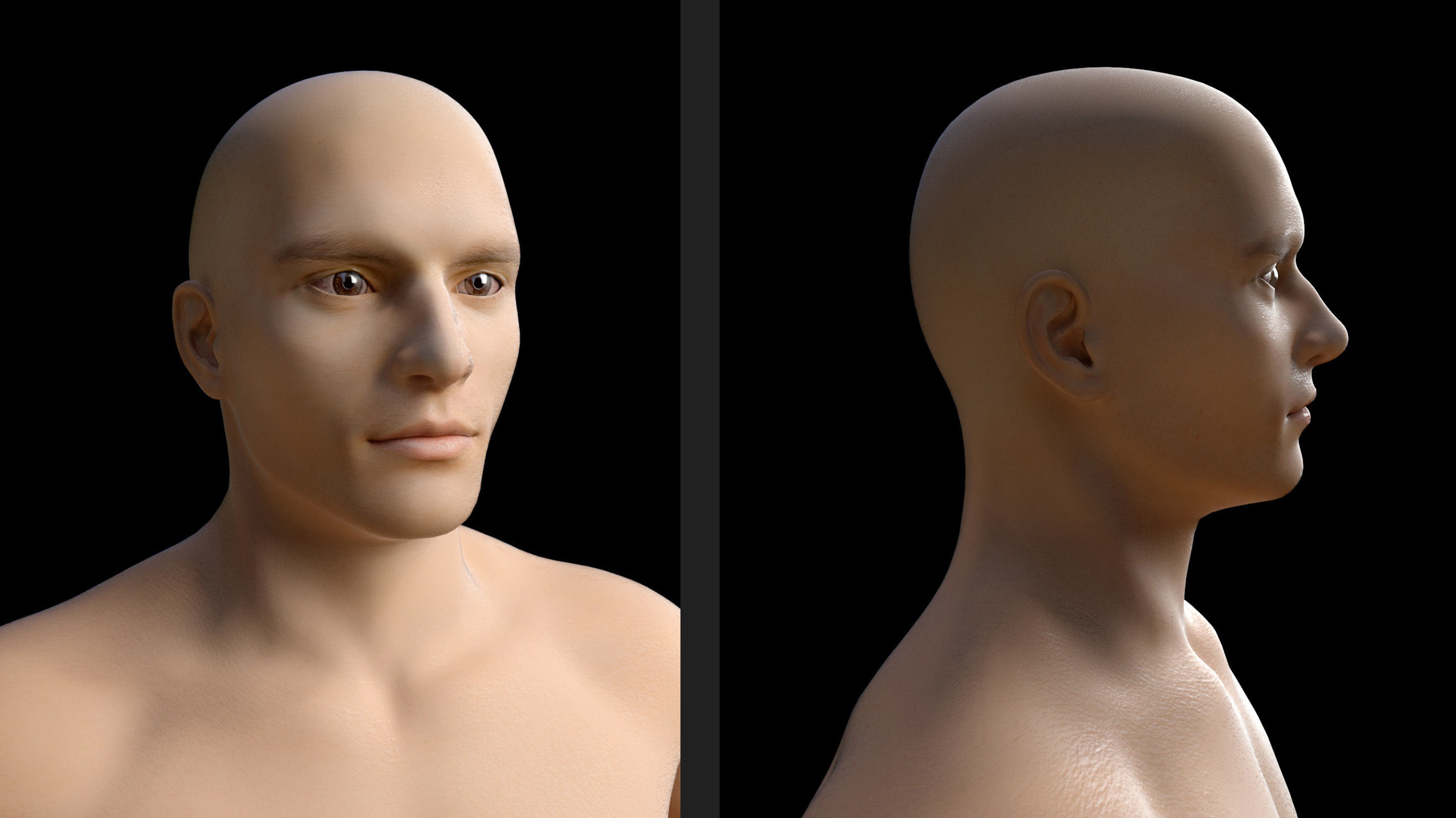 Human Anatomy man 3D model rigged | CGTrader