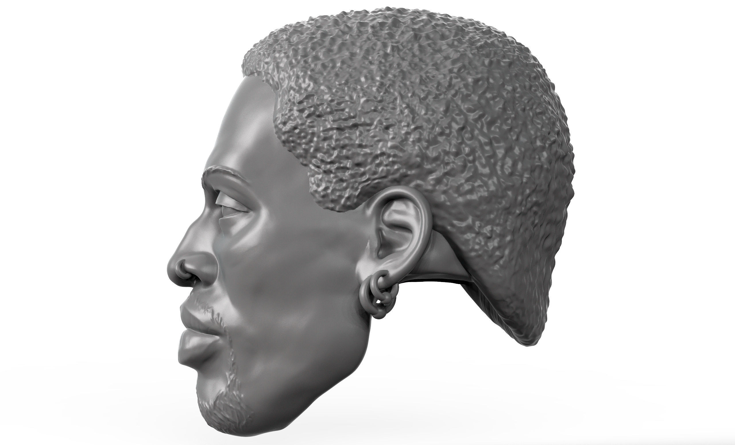 Dennis Rodman 3d Printable Action Figure Portrait 3d Model 3d Printable