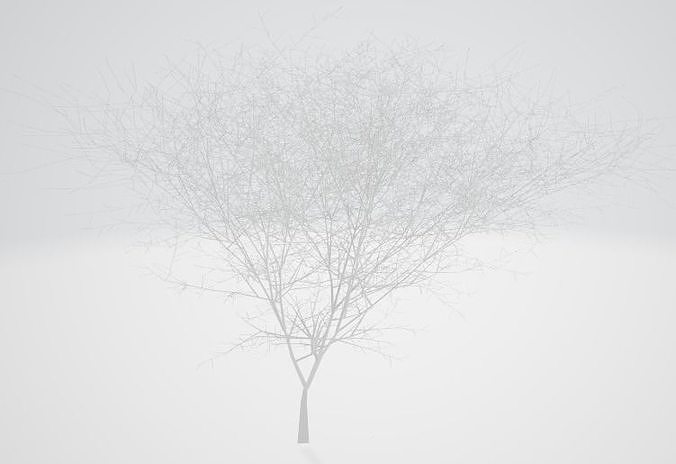 forest tree free 3D model | CGTrader