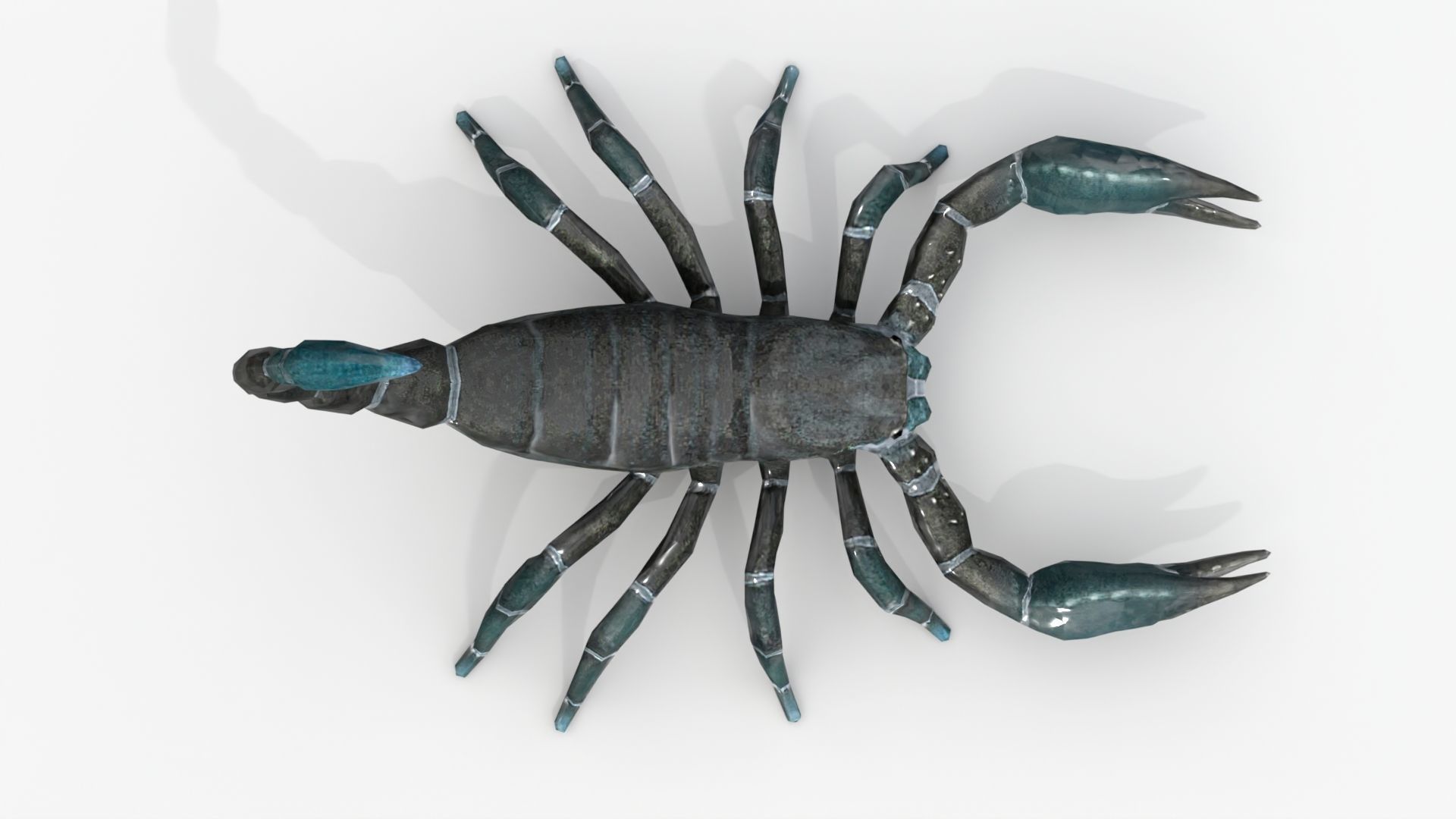 3D model Low Poly Scorpion Rigged VR / AR / low-poly | CGTrader