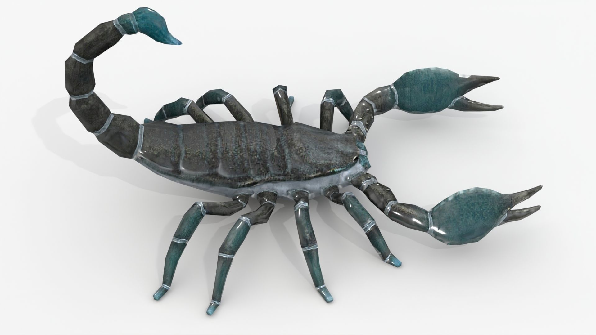 3D model Low Poly Scorpion Rigged VR / AR / low-poly | CGTrader