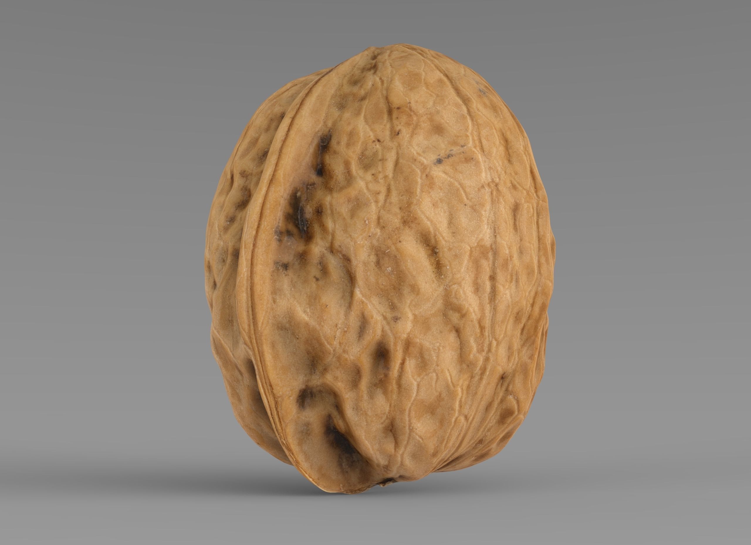 3D model Walnut VR / AR / low-poly | CGTrader