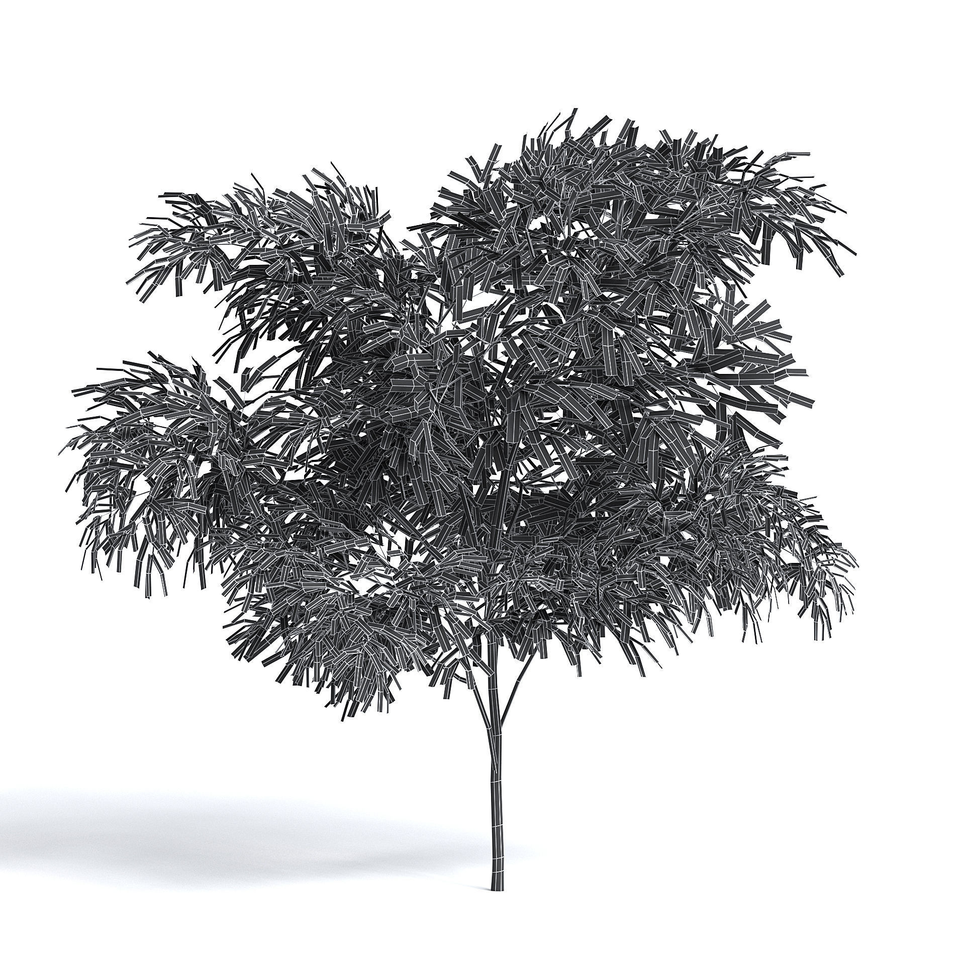 Olive Tree IV 3D model | CGTrader