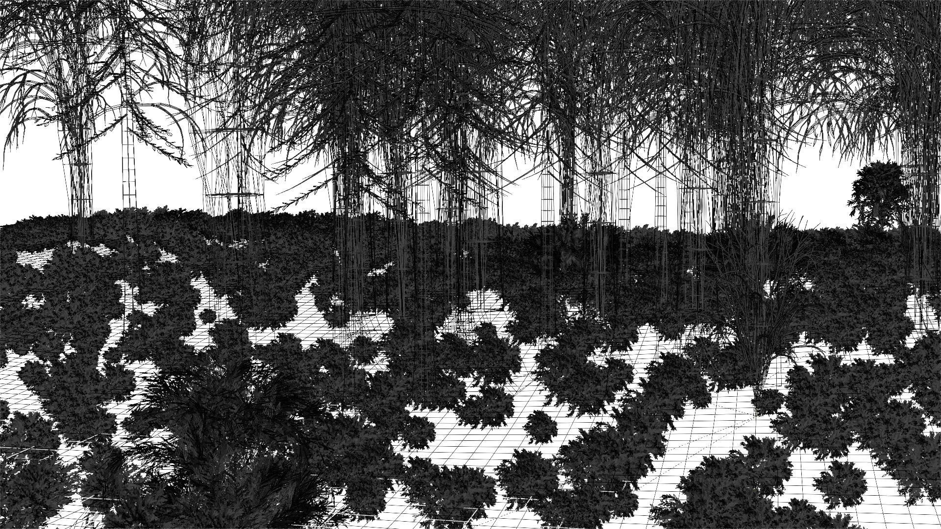 3D model Dark Forest Animation VR / AR / low-poly | CGTrader