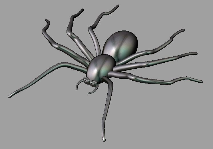SPIDER 3D PRINT MODEL silver 3D model 3D printable | CGTrader