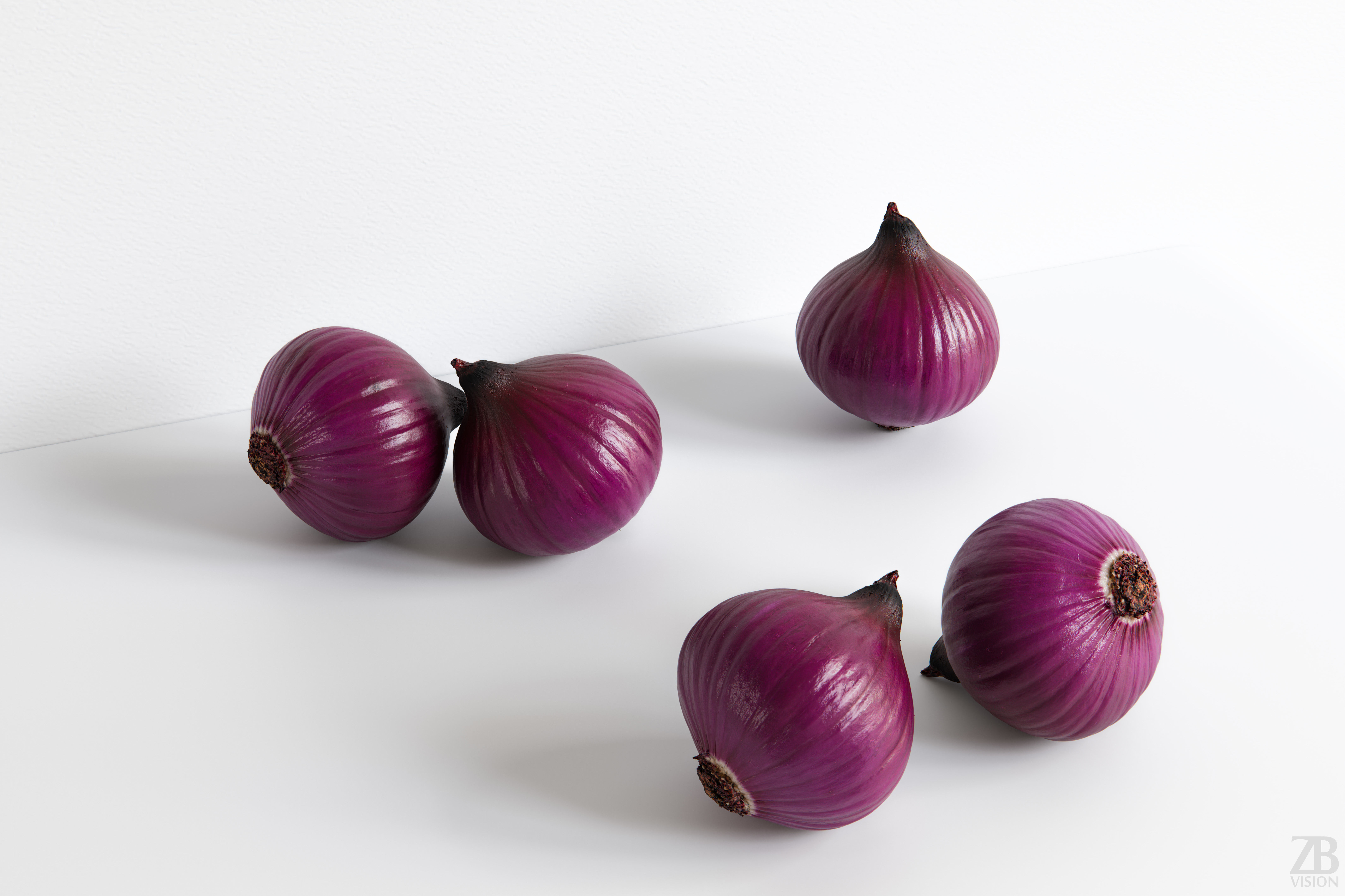 Onion 3D model | CGTrader
