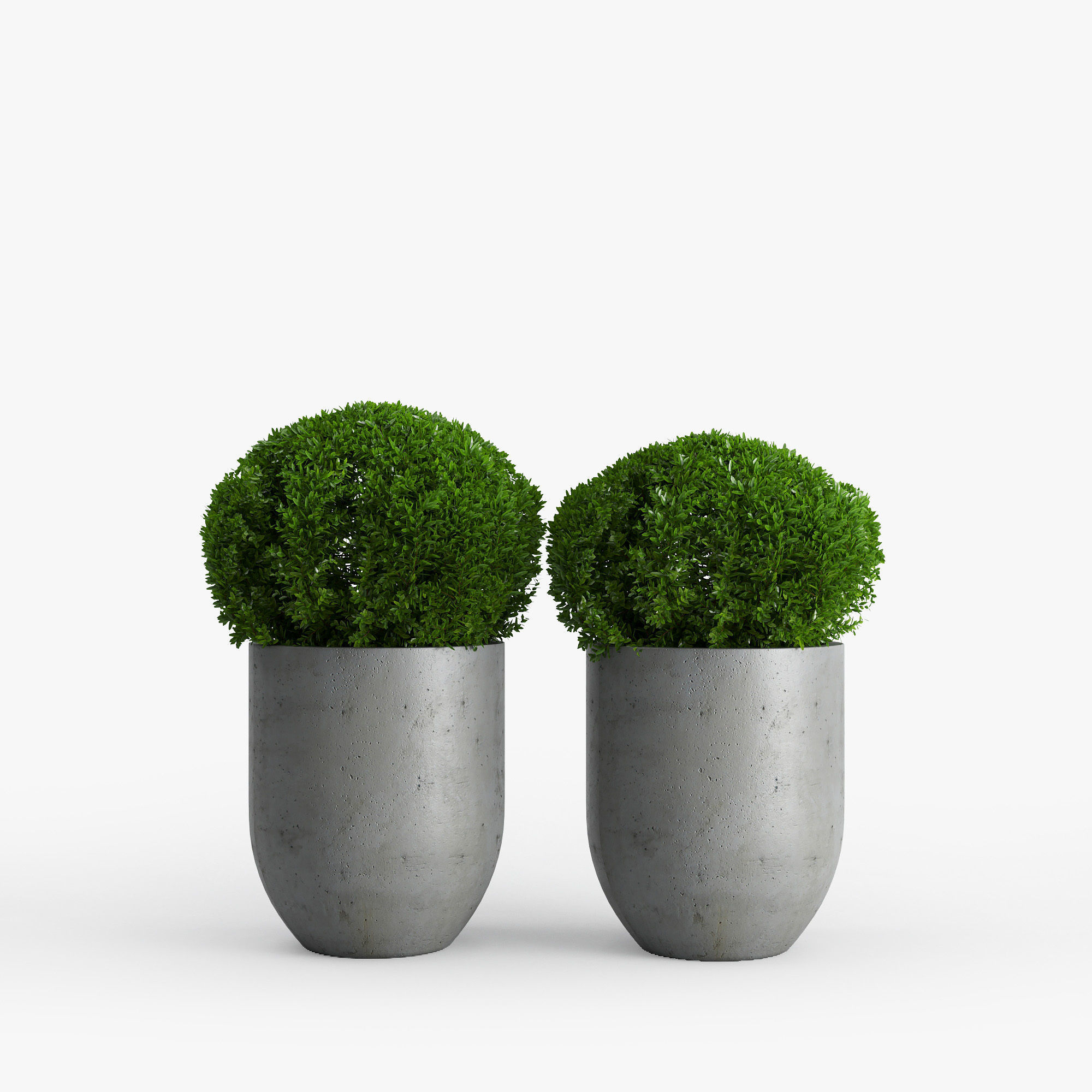 Concrete bush 3D model | CGTrader