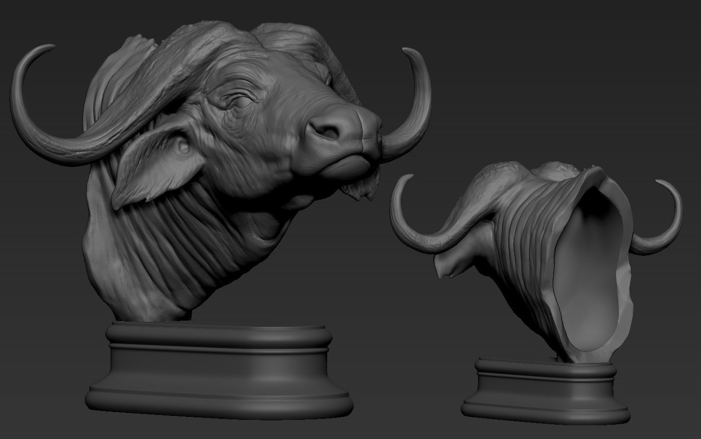 Buffalo African Head 3D model 3D printable | CGTrader