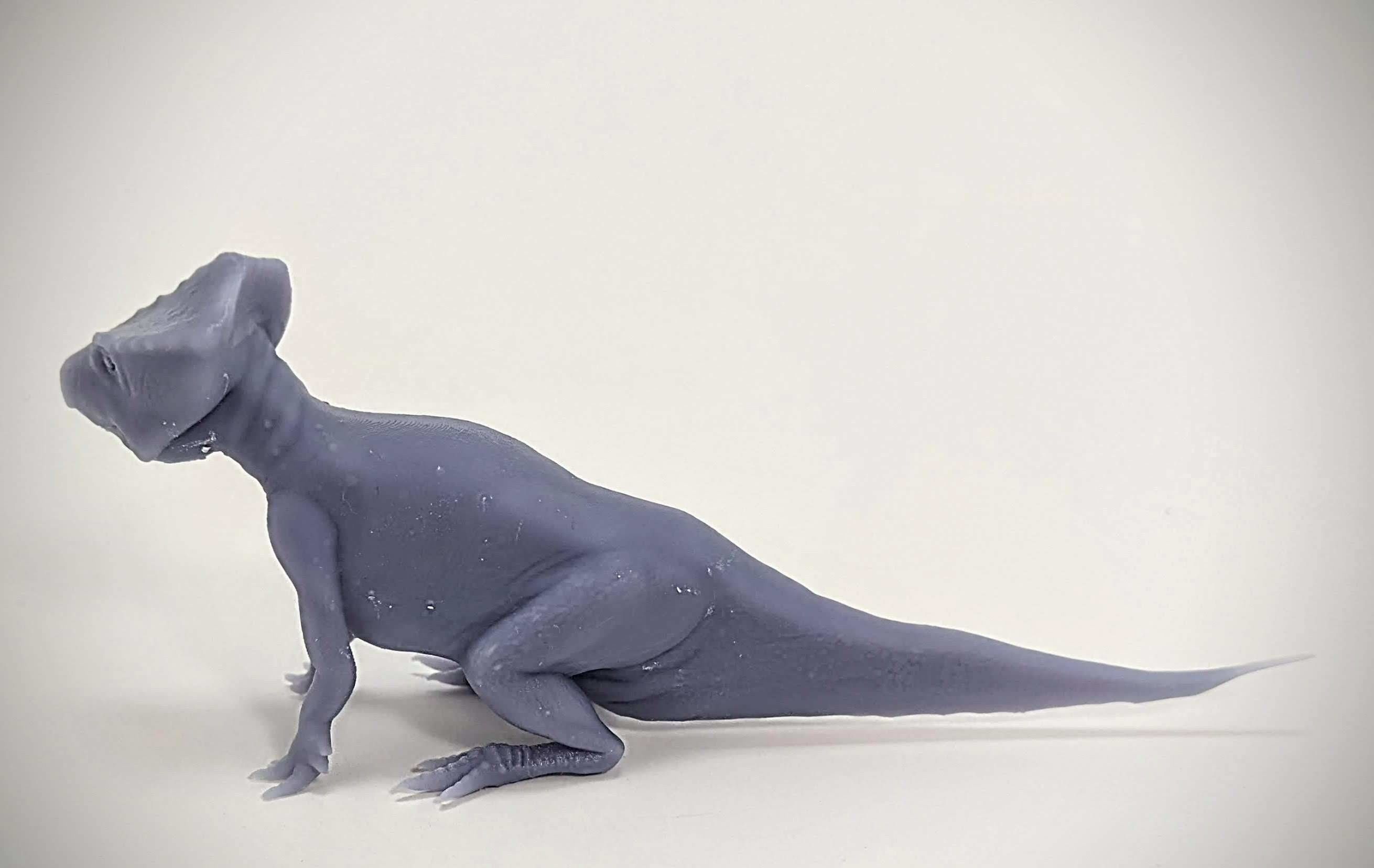 Microceratops an Asian ceratopsian from the Cretaceous 3D model 3D ...