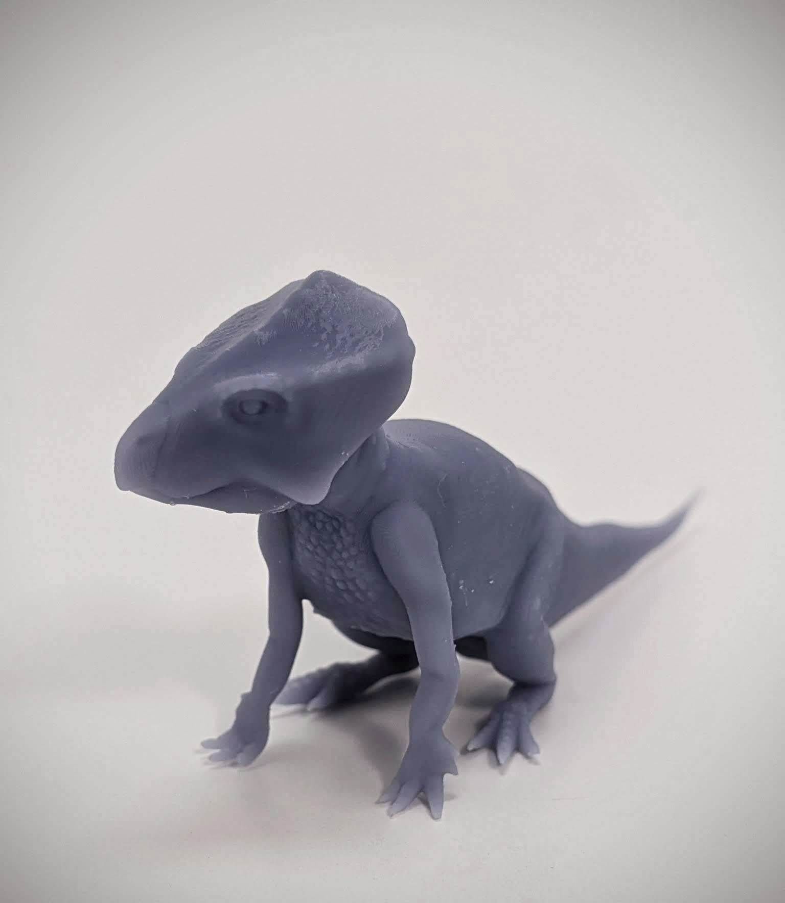 Microceratops an Asian ceratopsian from the Cretaceous 3D model 3D ...