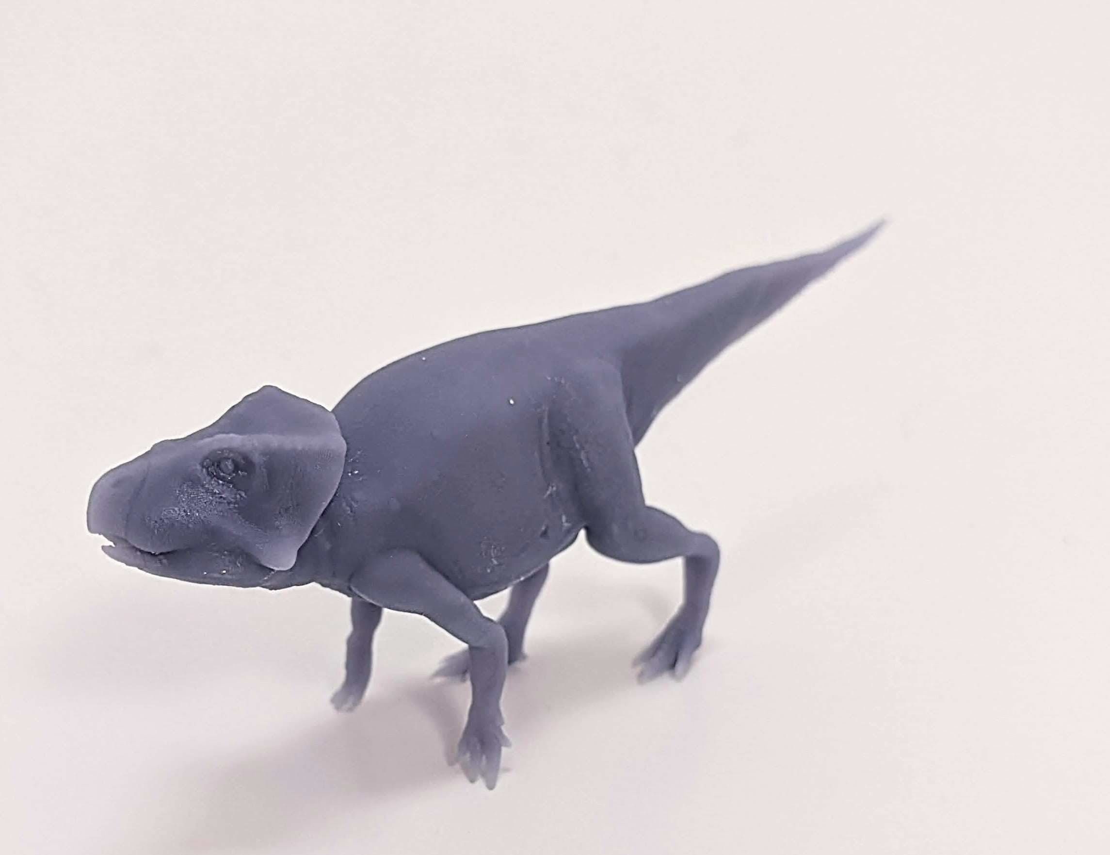 Microceratops an Asian ceratopsian from the Cretaceous 3D model 3D ...