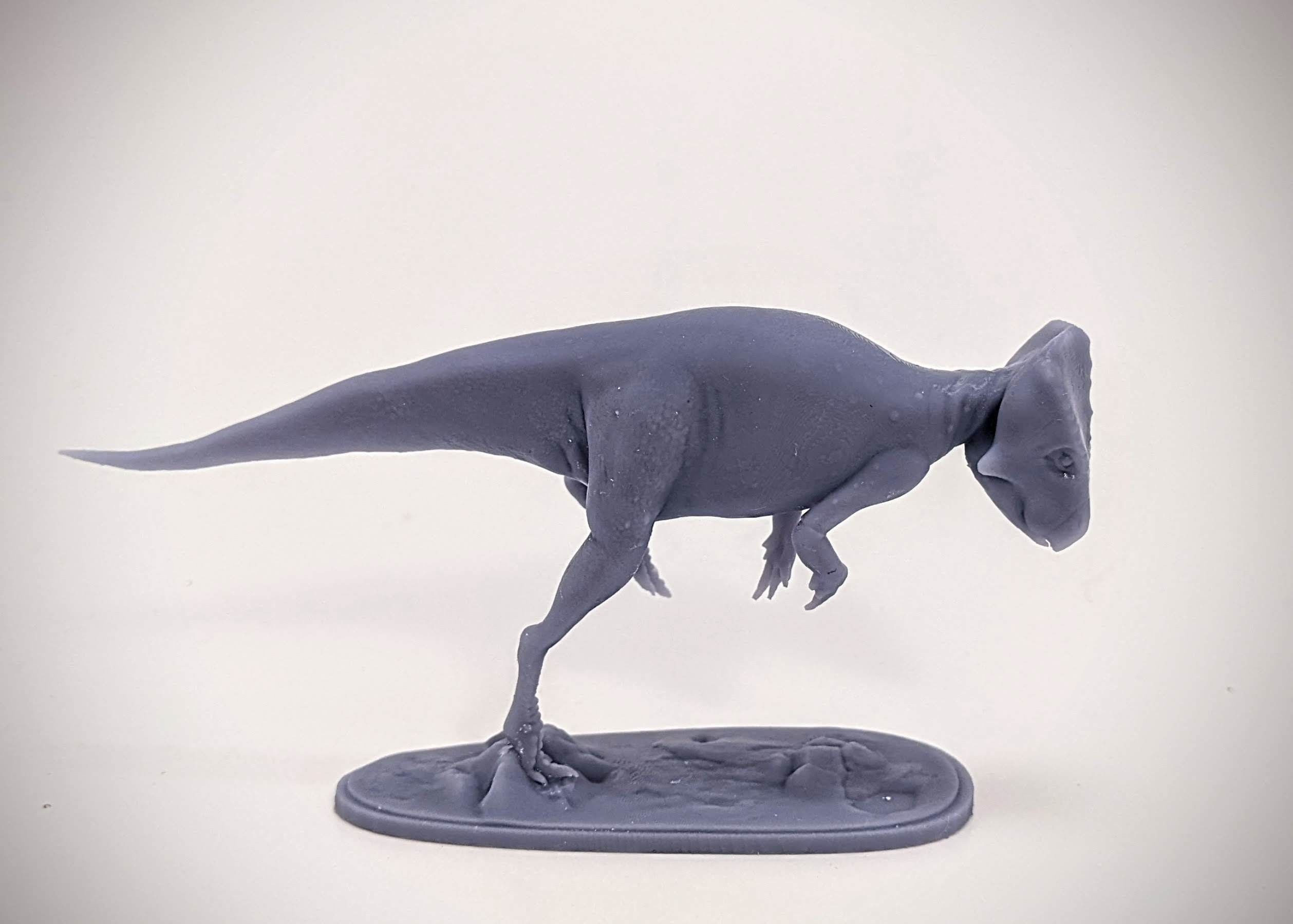 Microceratops an Asian ceratopsian from the Cretaceous 3D model 3D ...