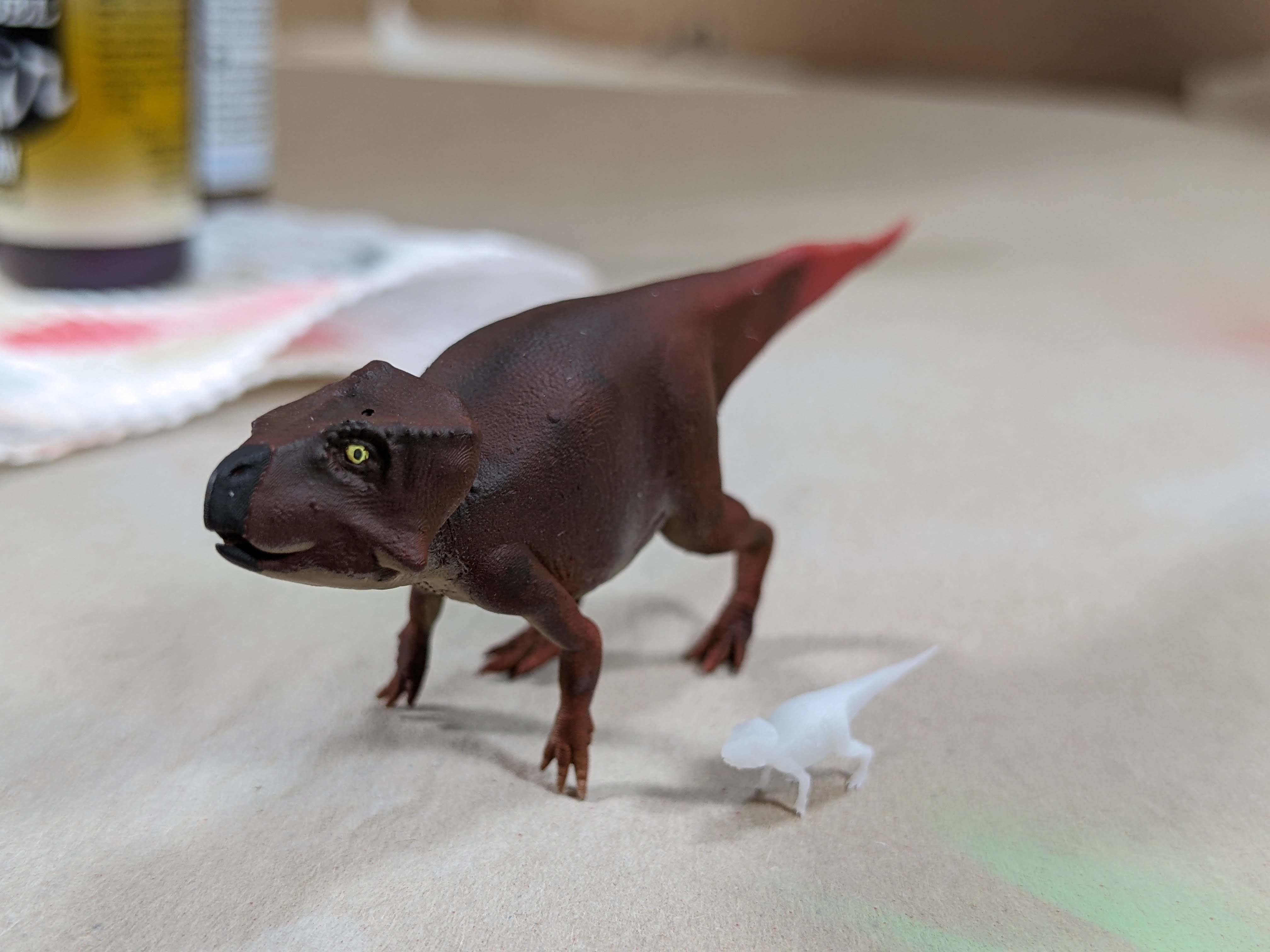 Microceratops an Asian ceratopsian from the Cretaceous 3D model 3D ...