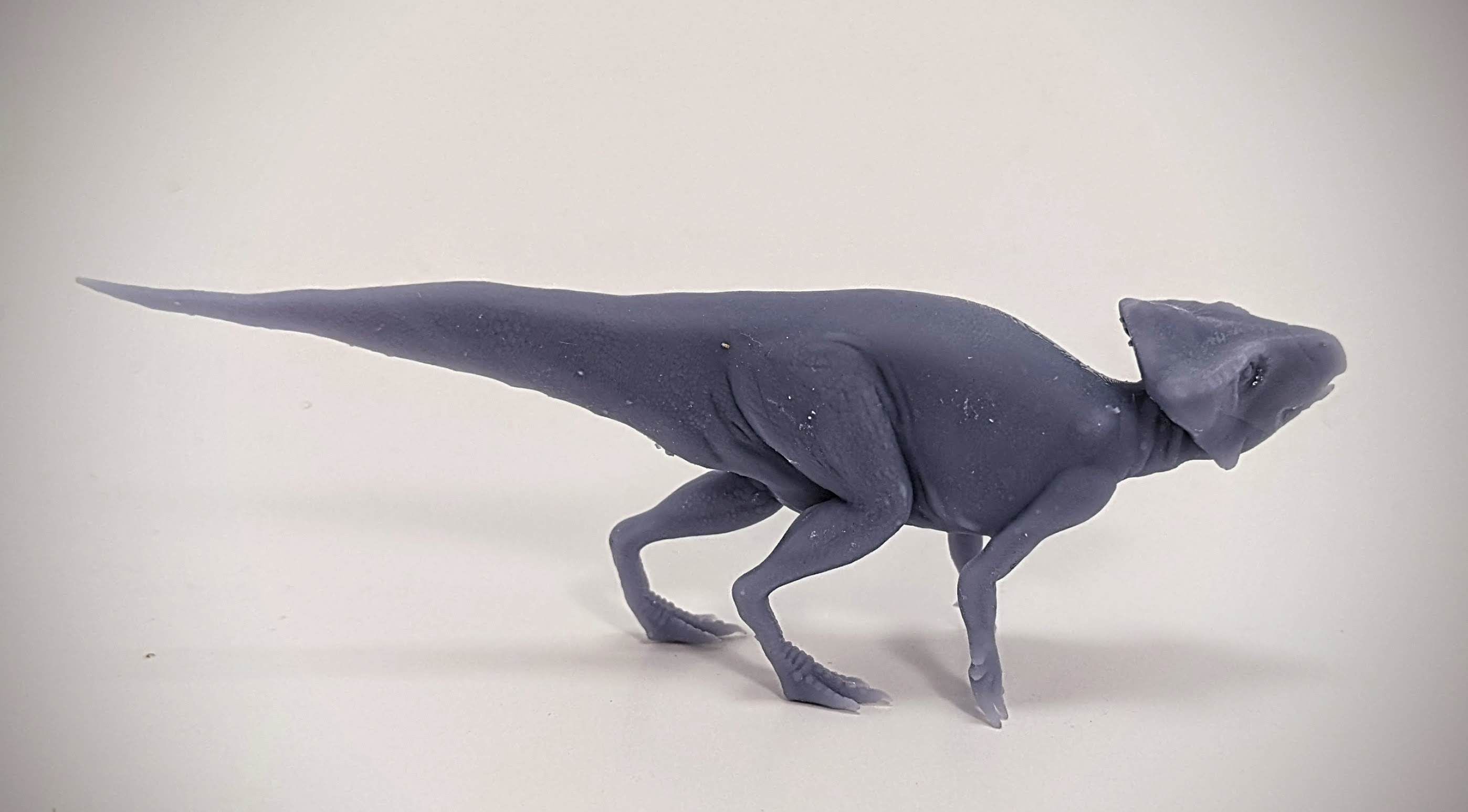 Microceratops an Asian ceratopsian from the Cretaceous 3D model 3D ...