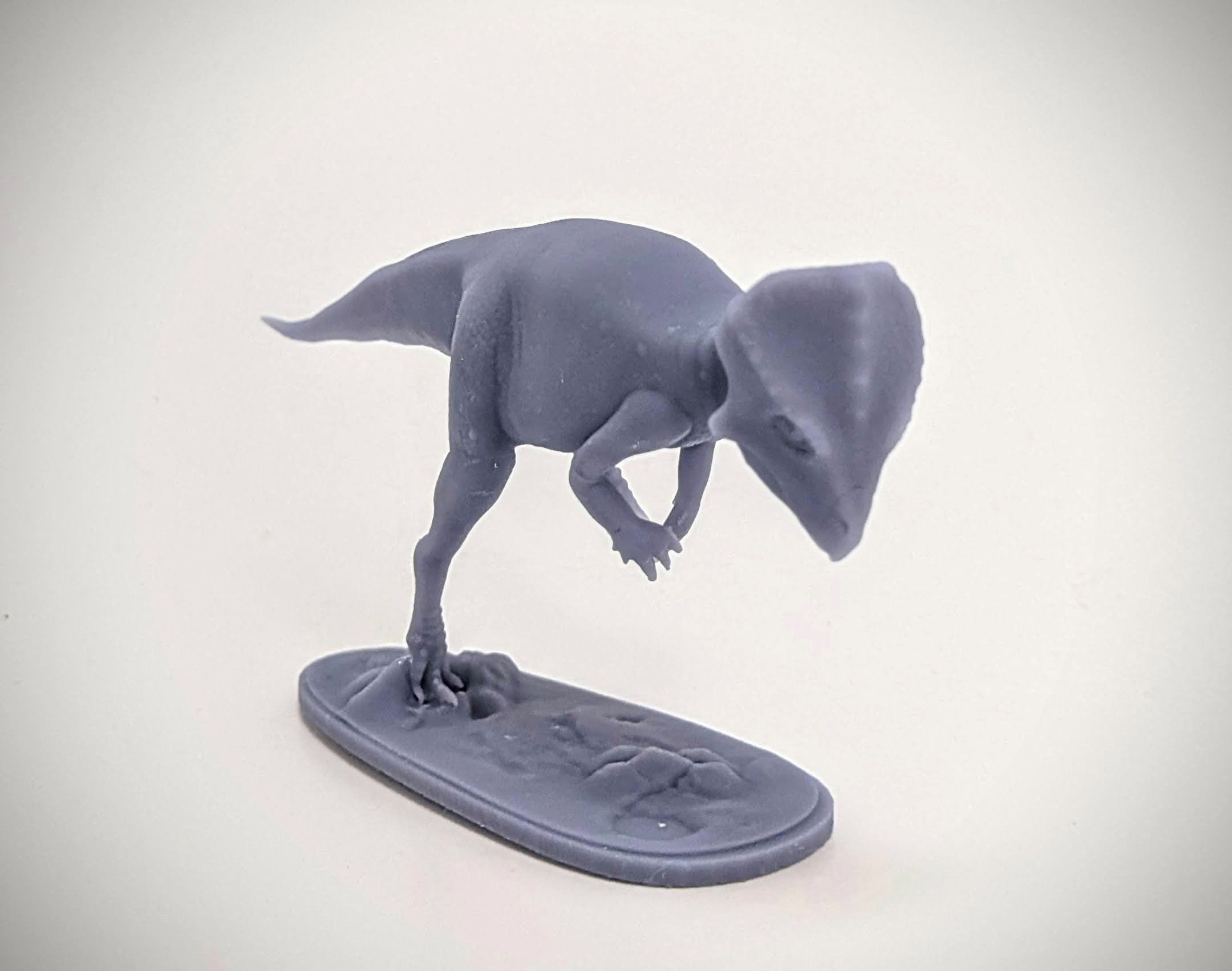 Microceratops an Asian ceratopsian from the Cretaceous 3D model 3D ...