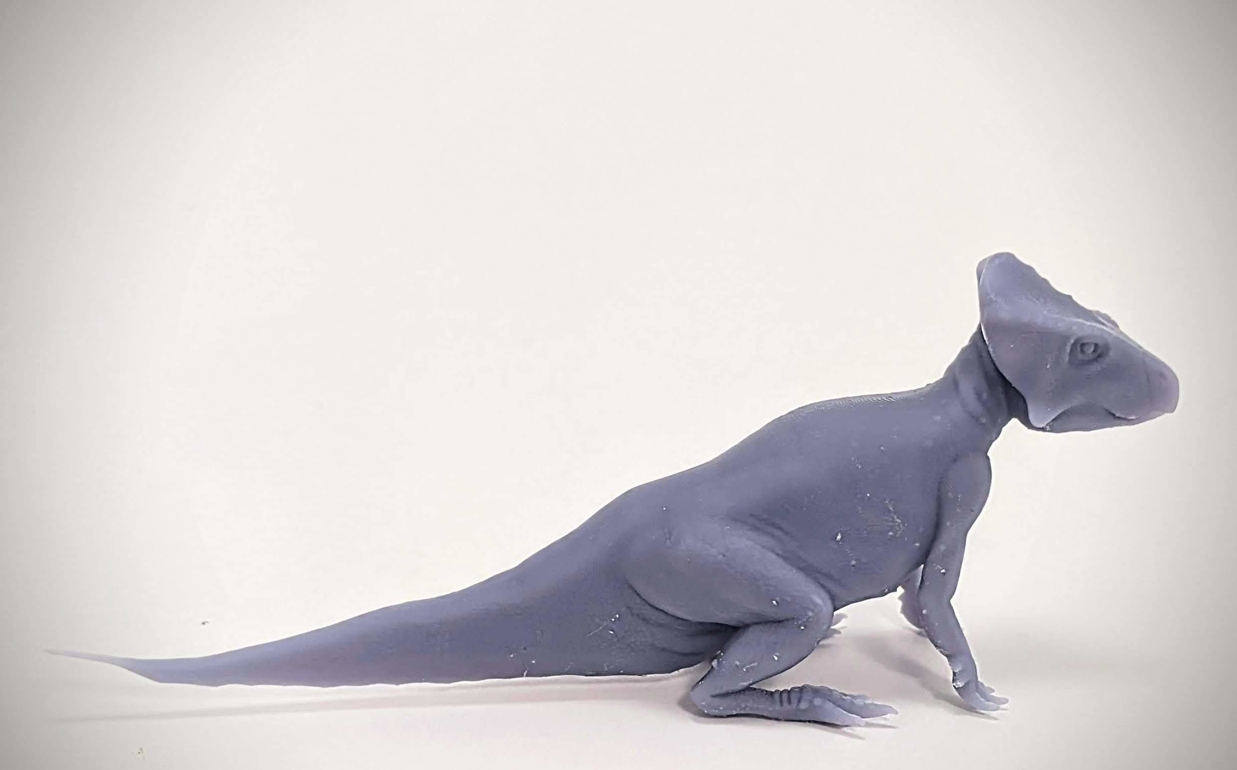 Microceratops an Asian ceratopsian from the Cretaceous 3D model 3D ...