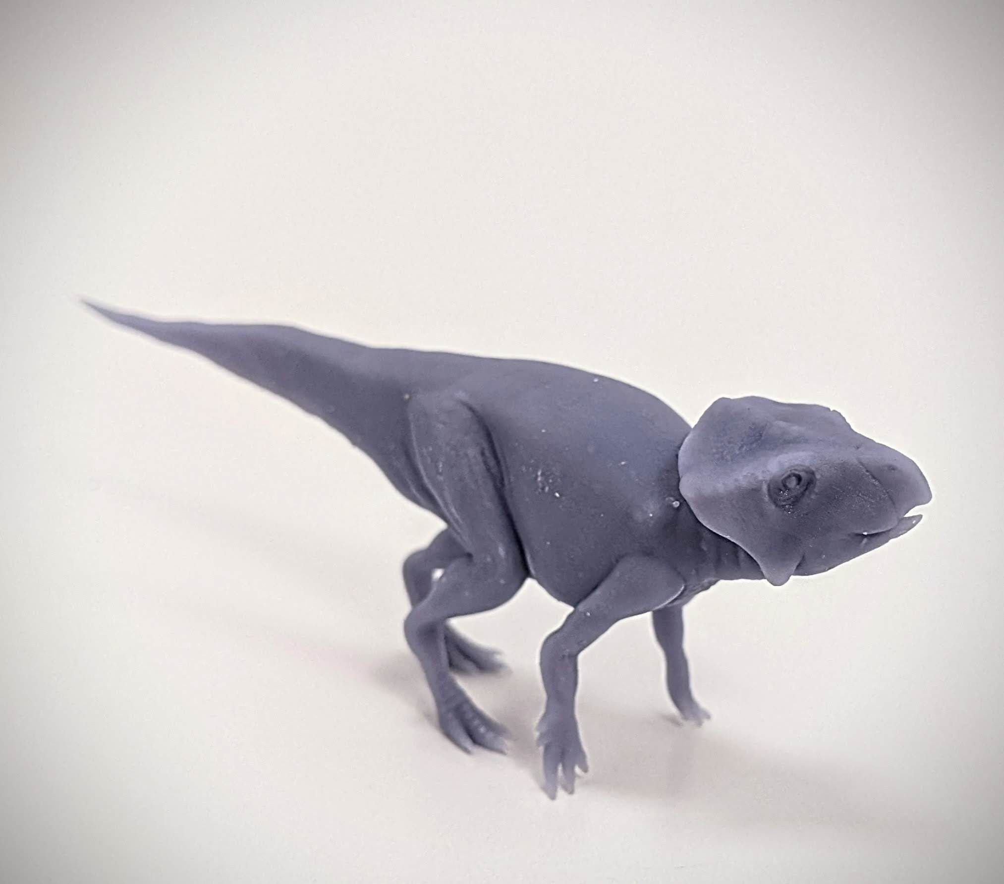 Microceratops an Asian ceratopsian from the Cretaceous 3D model 3D ...