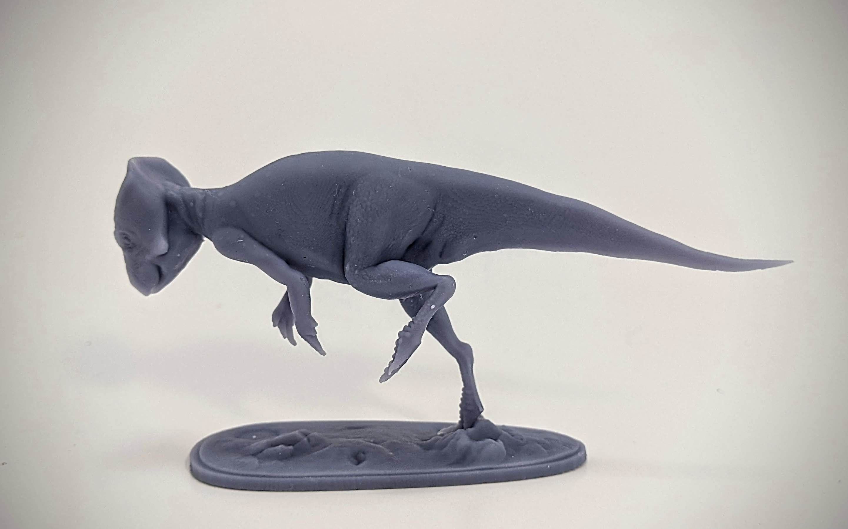 Microceratops an Asian ceratopsian from the Cretaceous 3D model 3D ...