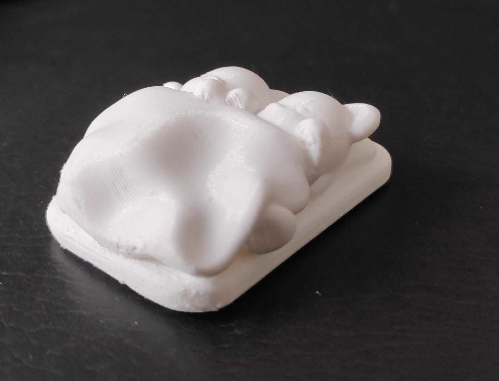 Sleeping Cats 3D model 3D printable | CGTrader