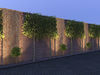 Brick Fence With Pleached Trees 3D model | CGTrader