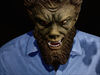 3D model Wolfman werewolf with beard and eyes VR / AR / low-poly | CGTrader