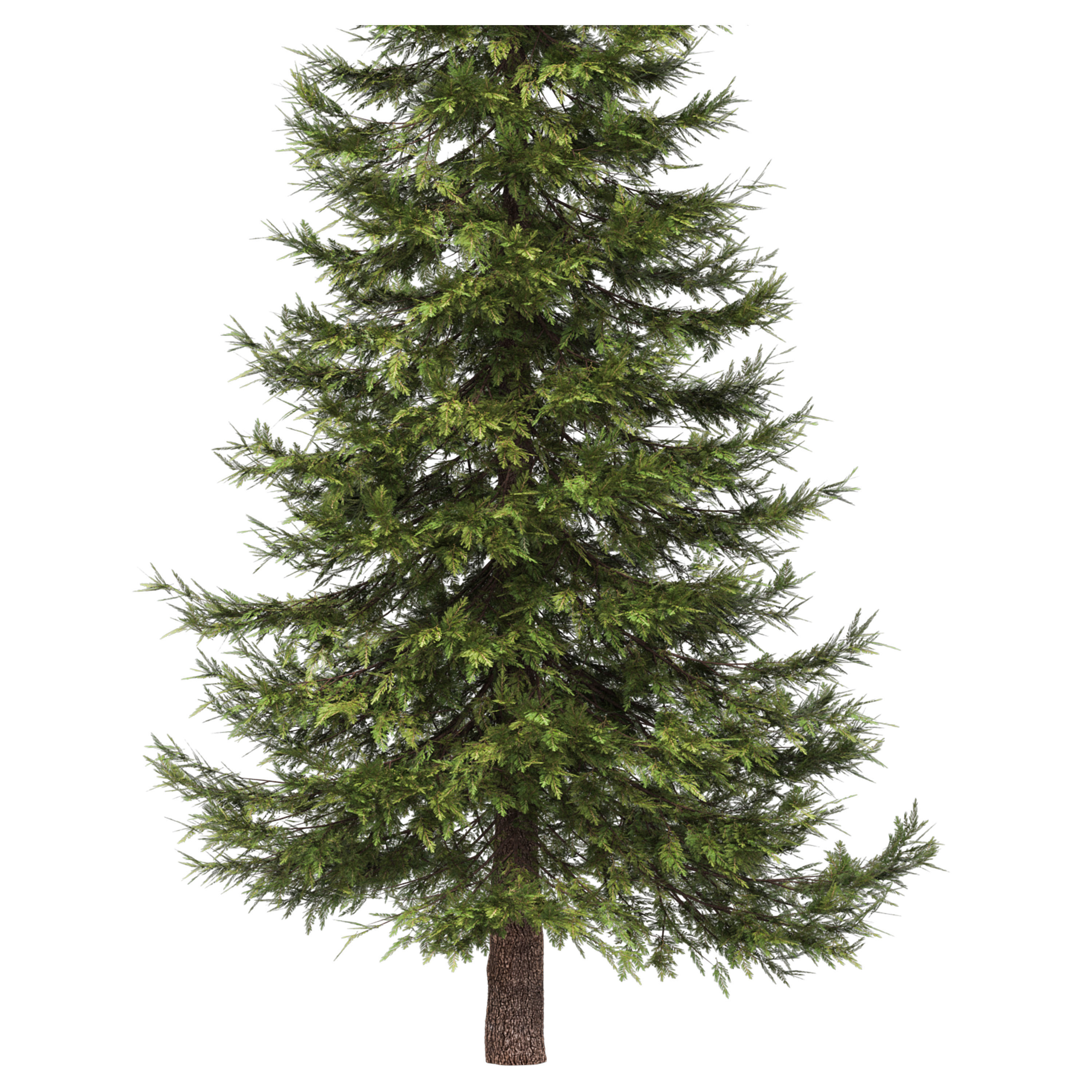 Land scape tree 1 3D model | CGTrader