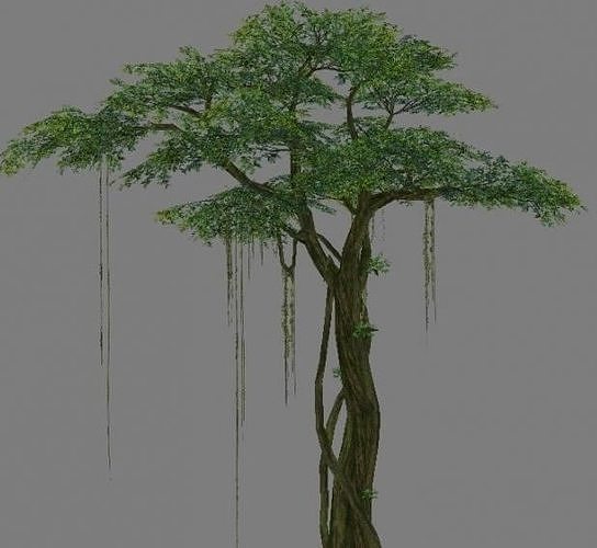 Low Poly Tree Set with vines hanging from it 3D model | CGTrader