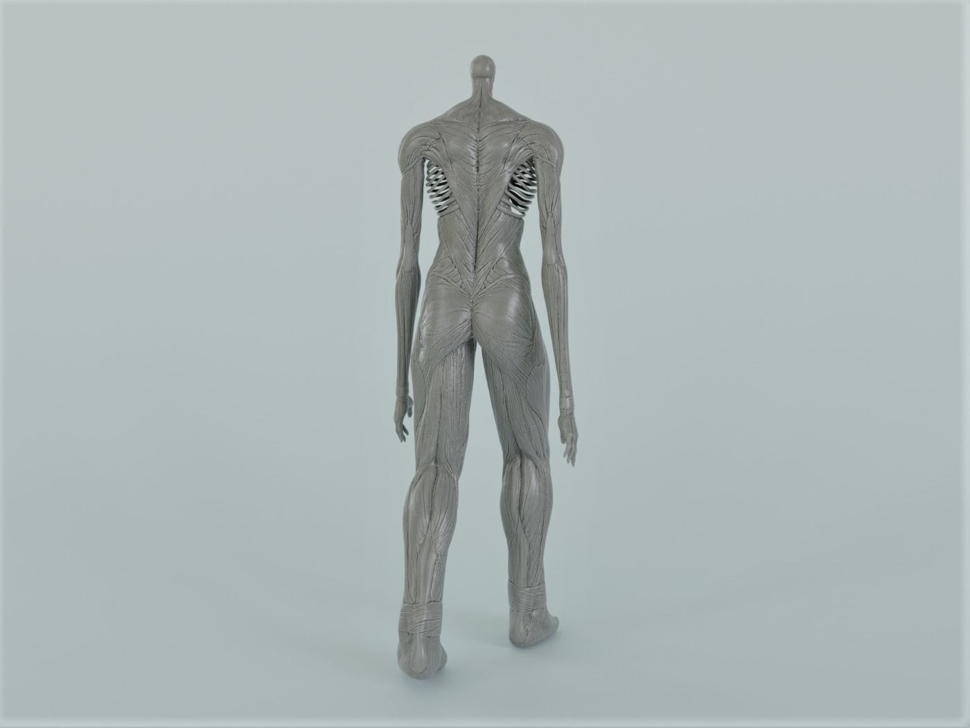 Colossal Titan Armin 3D model 3D printable | CGTrader