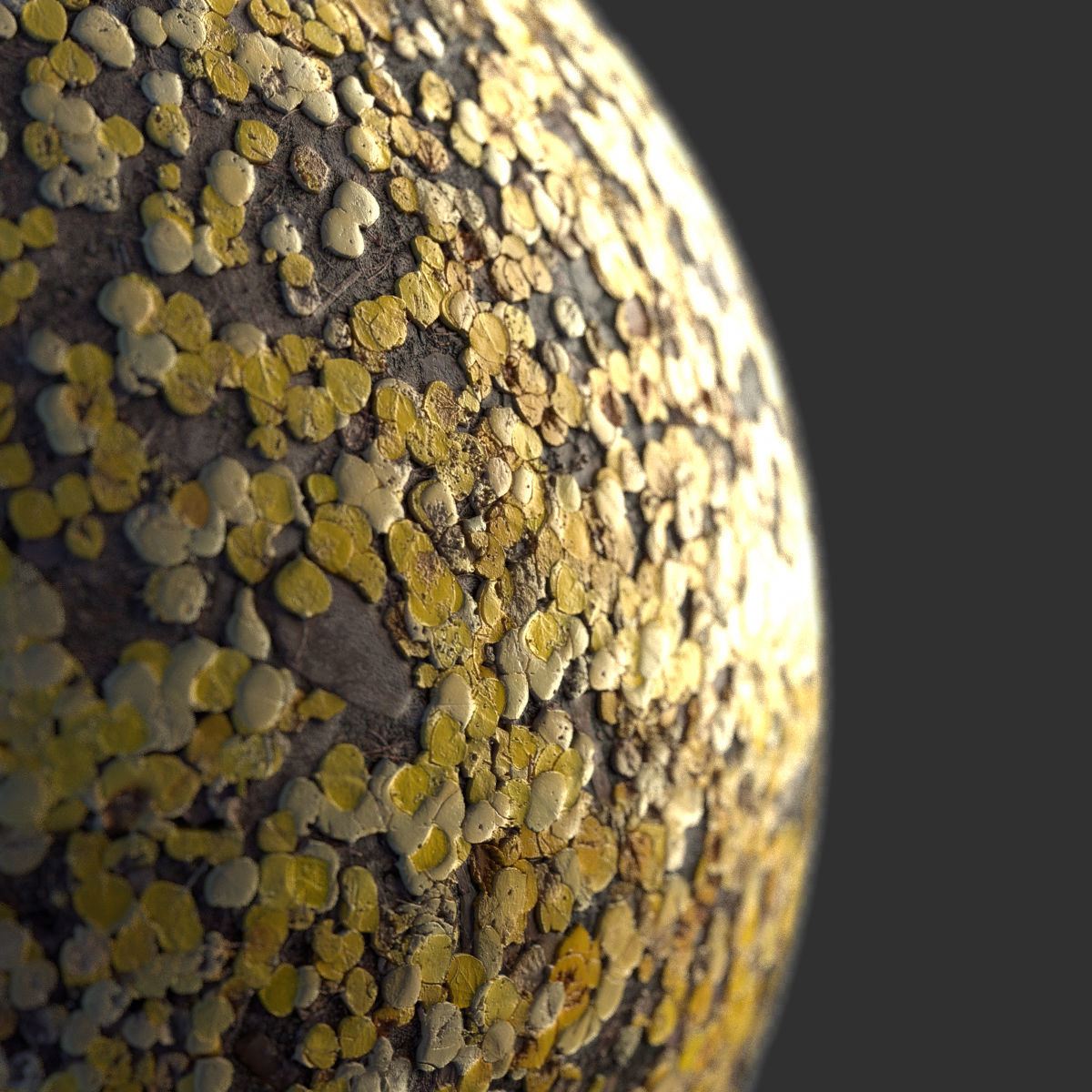 Texture Ground - Fall Leaf VR / AR / low-poly | CGTrader